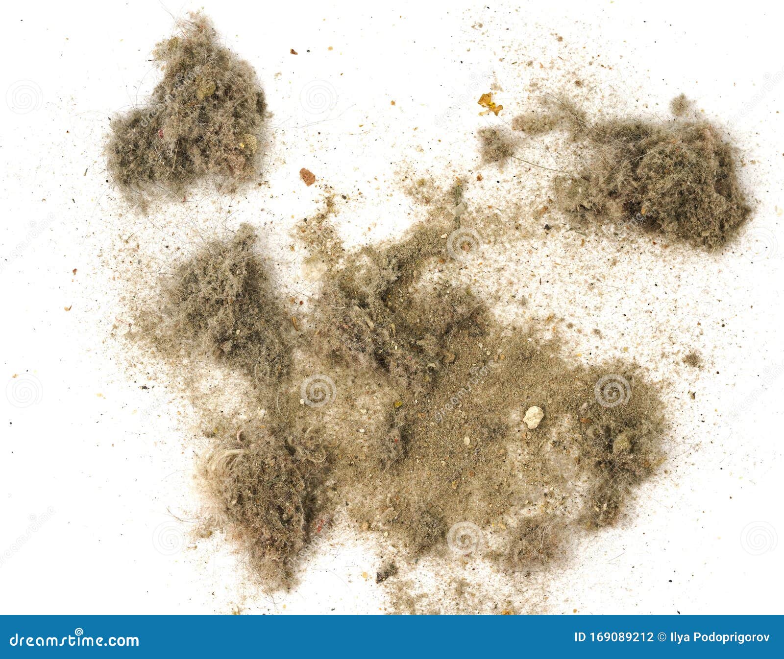 Trash, Dust, Dirt on a White Background Closeup. Texture of Garbage ...