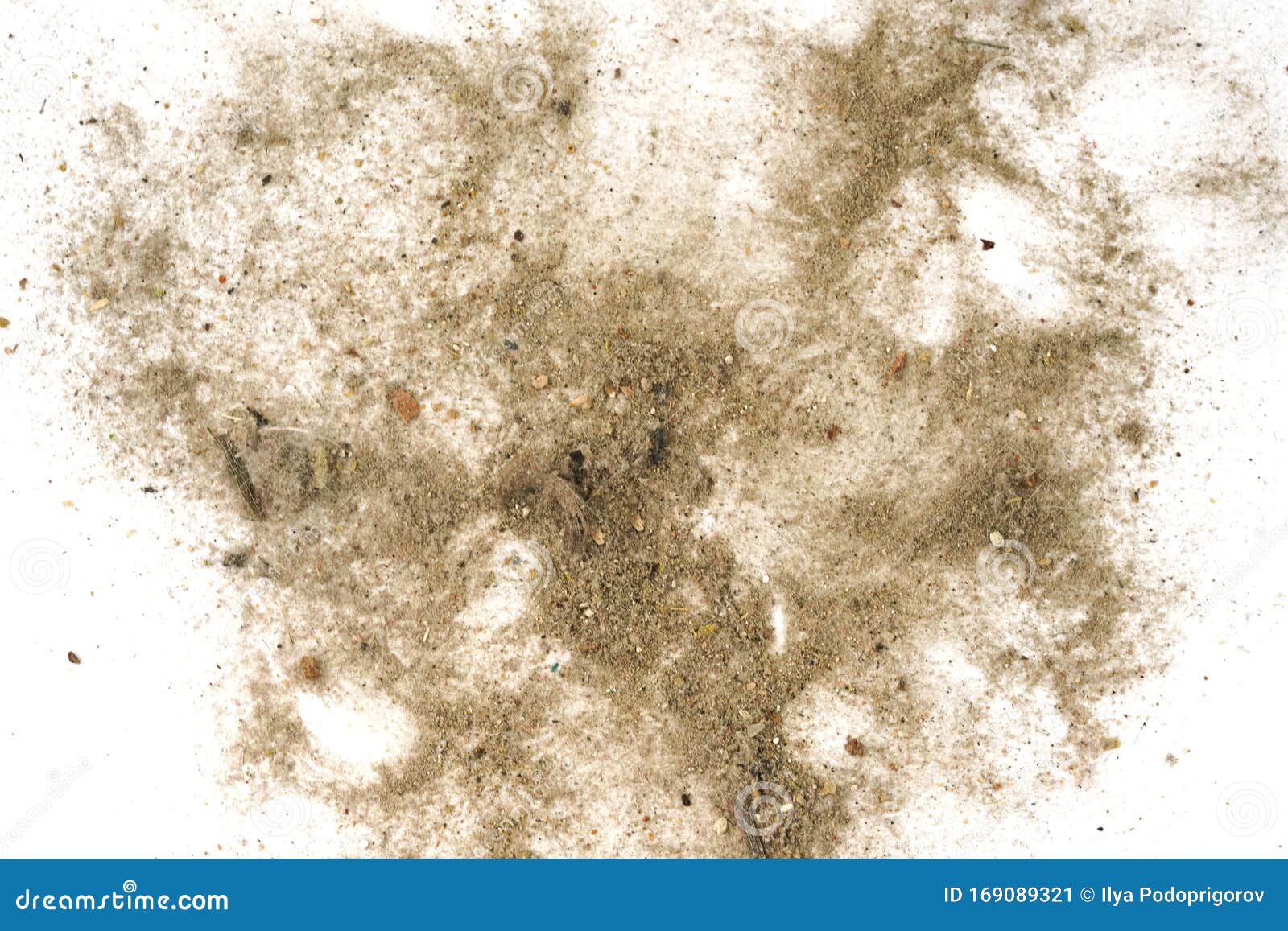 Trash, Dust, Dirt on a White Background Closeup. Texture of Garbage ...