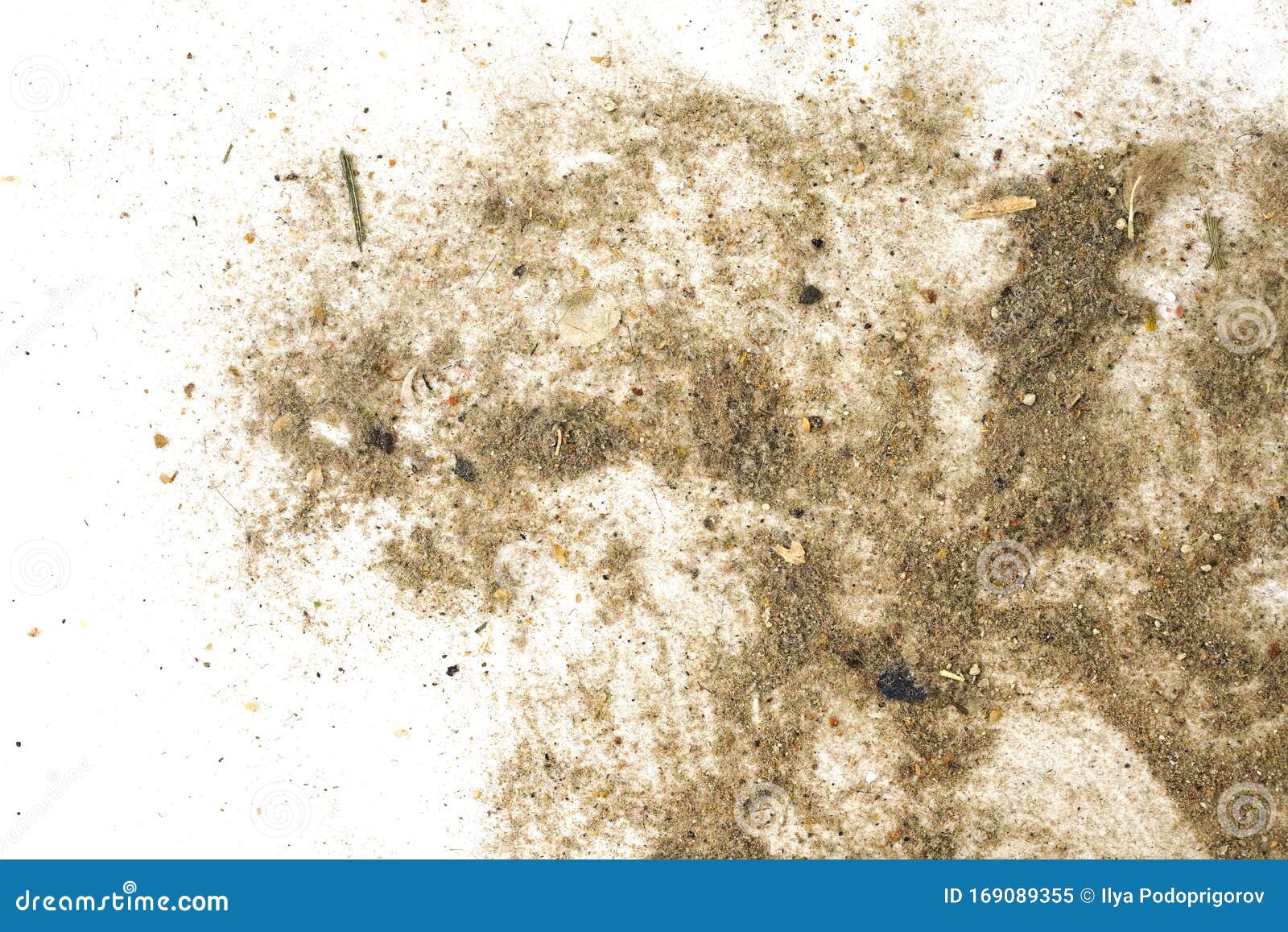 Trash, Dust, Dirt on a White Background Closeup. Texture of Garbage ...