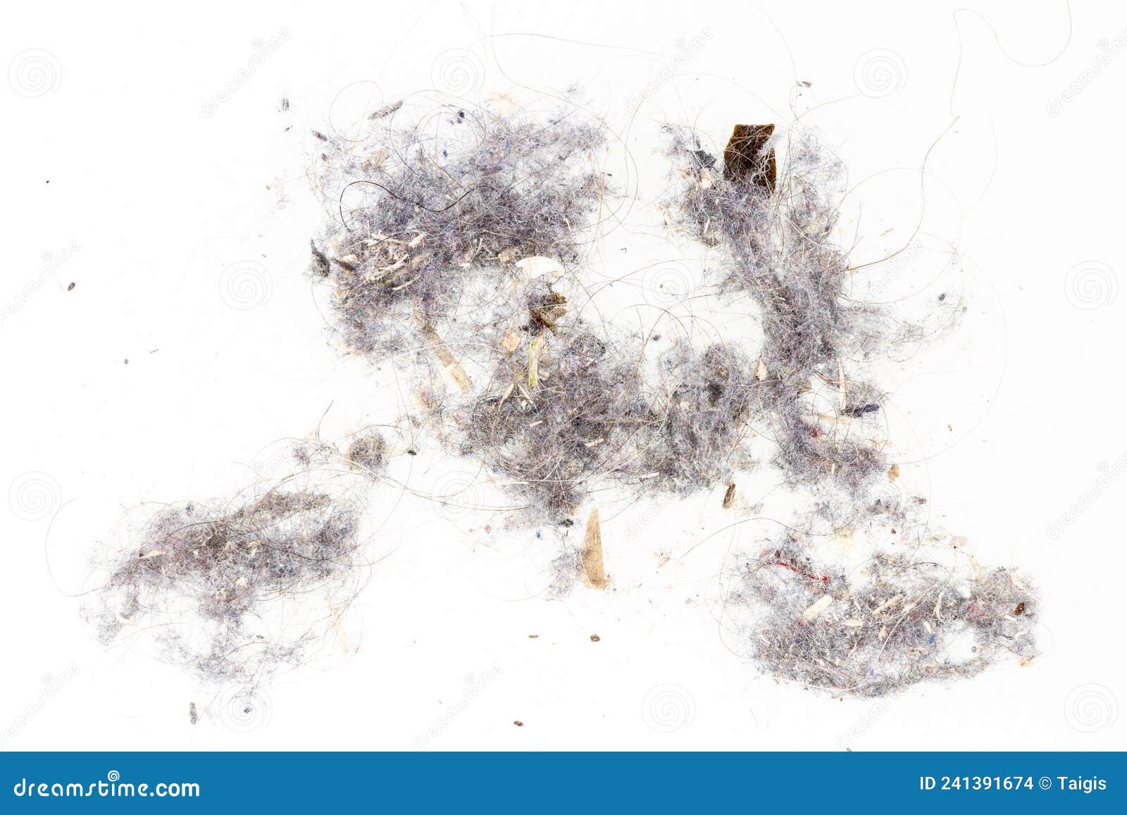 Trash, dust pile stock photo. Image of dirt, macro, litter - 241391674