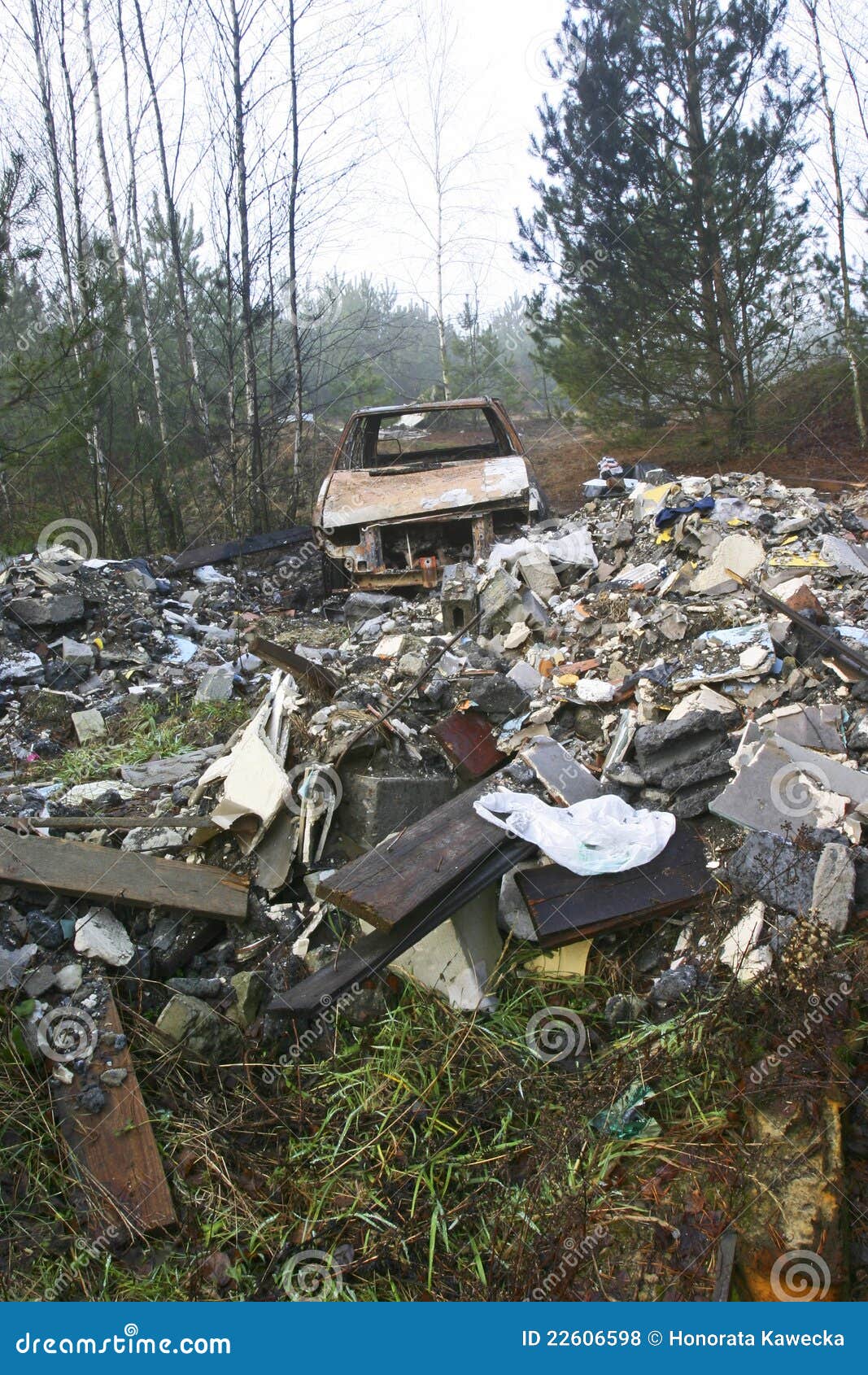 Trash in the forest stock photo. Image of waste, dump - 22606598
