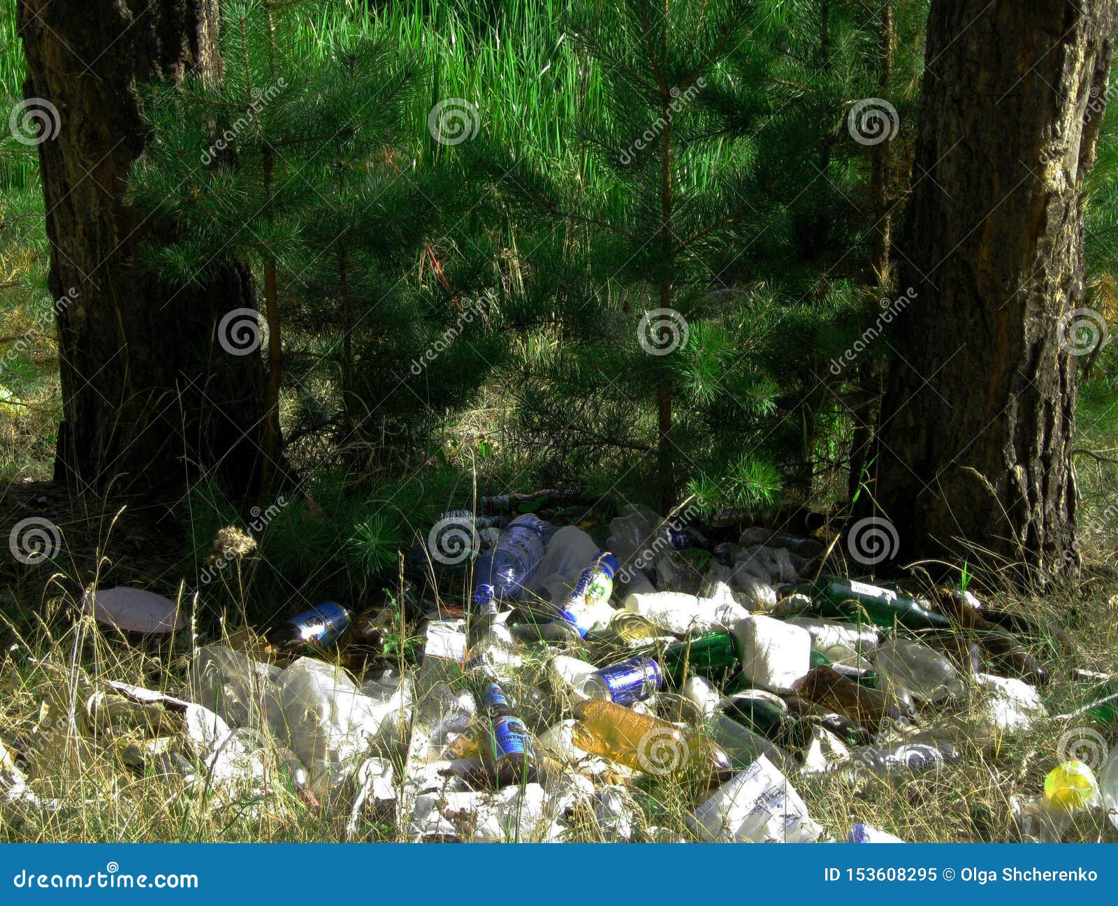 Trash in the Forest. Environmental Contamination Stock Image - Image of ...