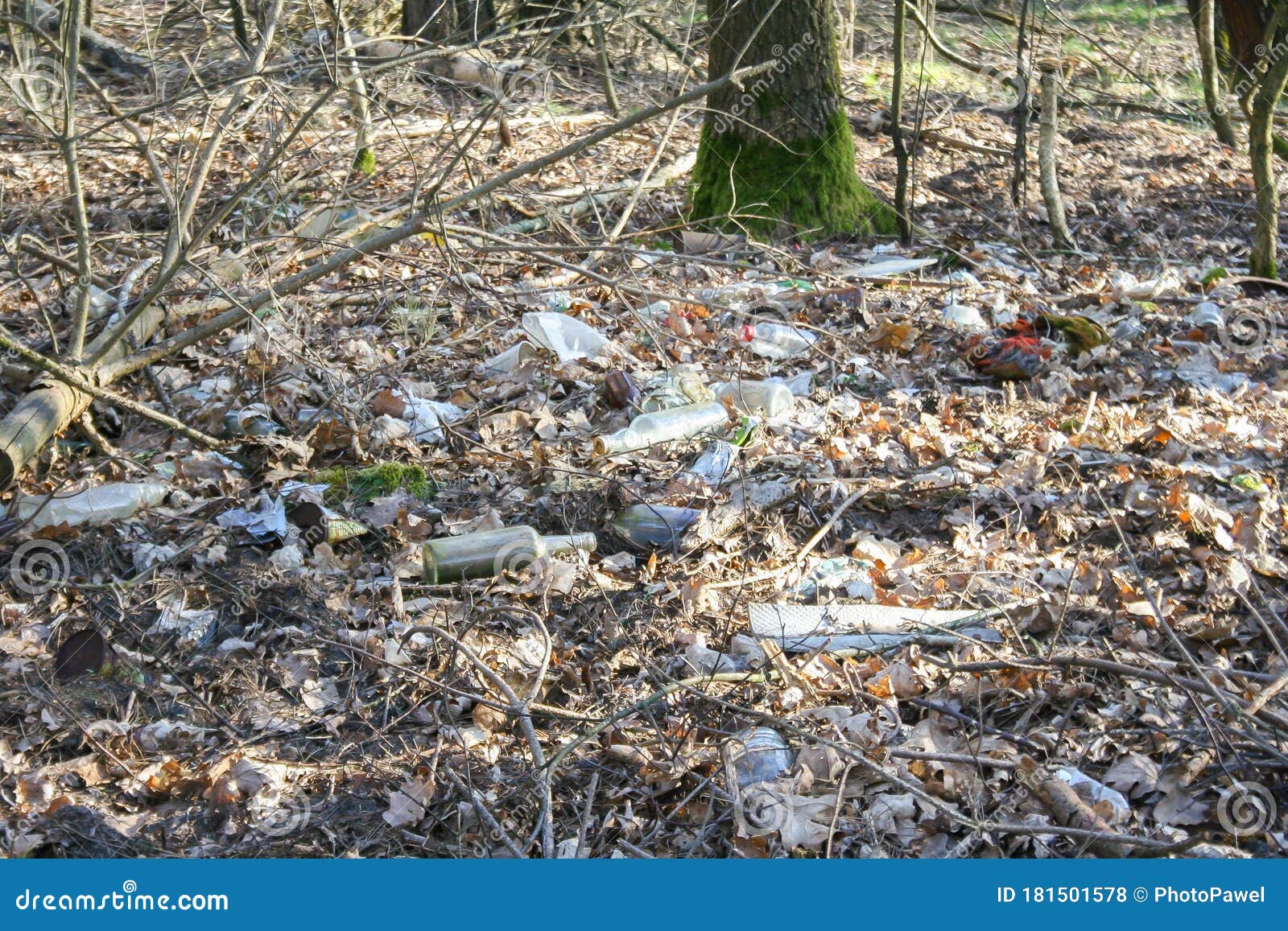 Trash in Forest. Environmental Pollution Concept Stock Photo - Image of ...