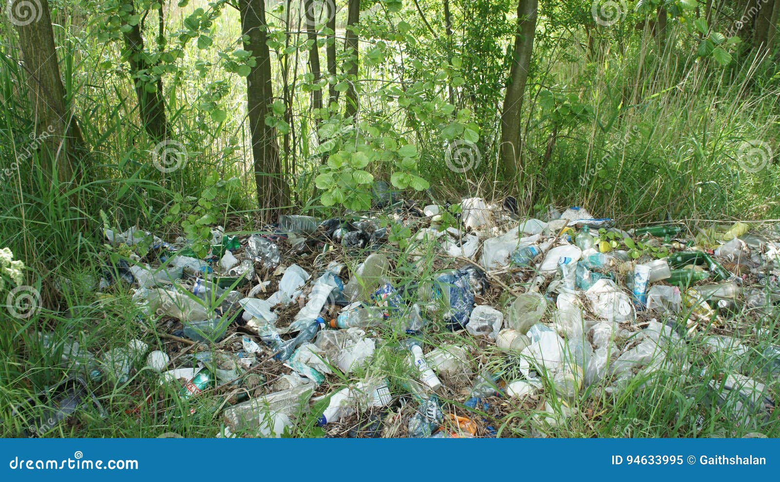 Trash in the Forest stock image. Image of recycle, trash - 94633995