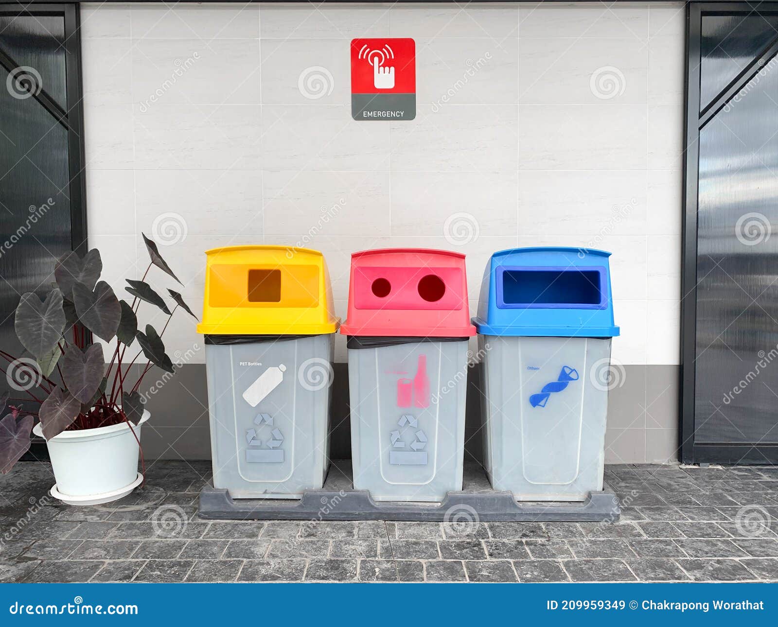 Trash in Garbage Cans with Sorted Garbage. Recycling Garbage Separation ...