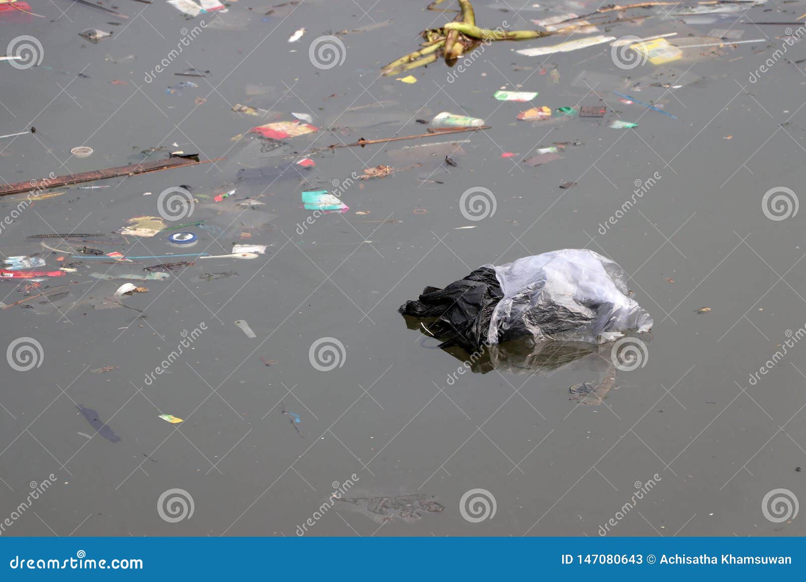 Trash and Garbage Floating on the Surface of the Water, Causing Sewage ...