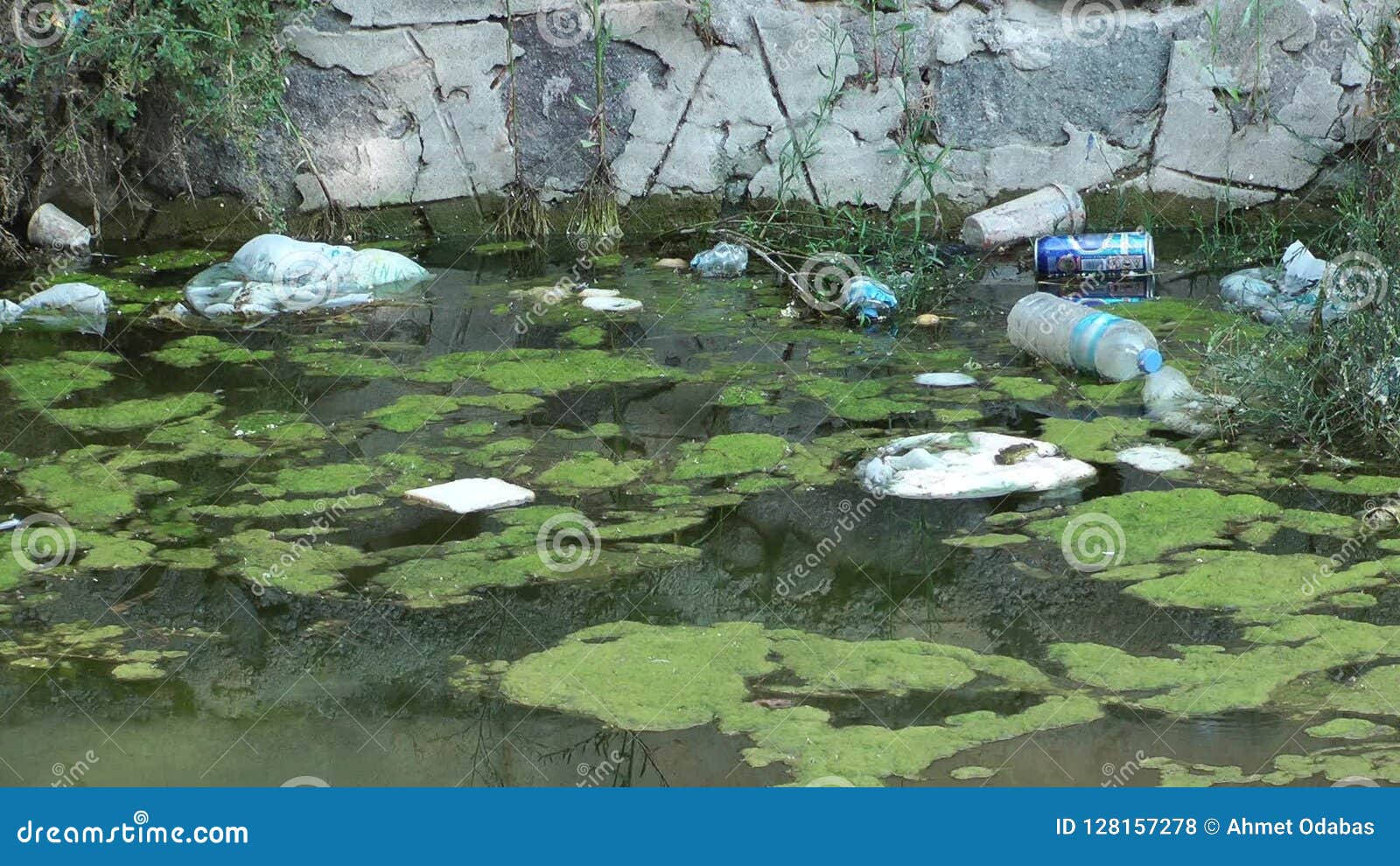 Trash and Garbage Floating on the Surface of the Water. Water Pollution ...