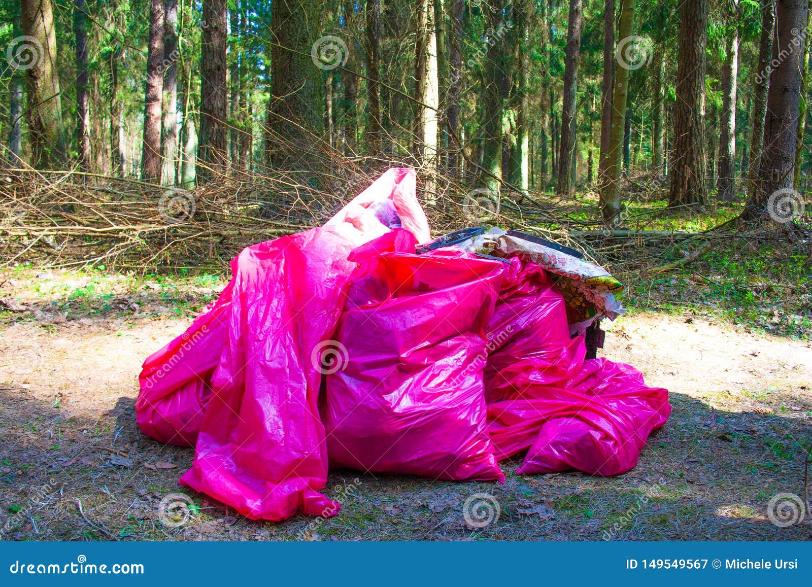 Trash, Garbage and Plastic in a Forest, Pollution Stock Image - Image ...