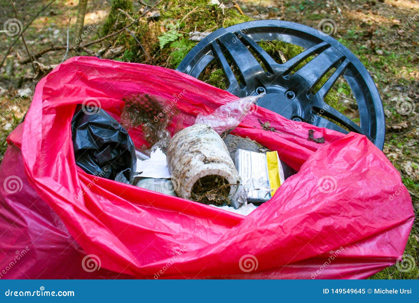 Trash, Garbage and Plastic in a Forest, Pollution Stock Image - Image ...