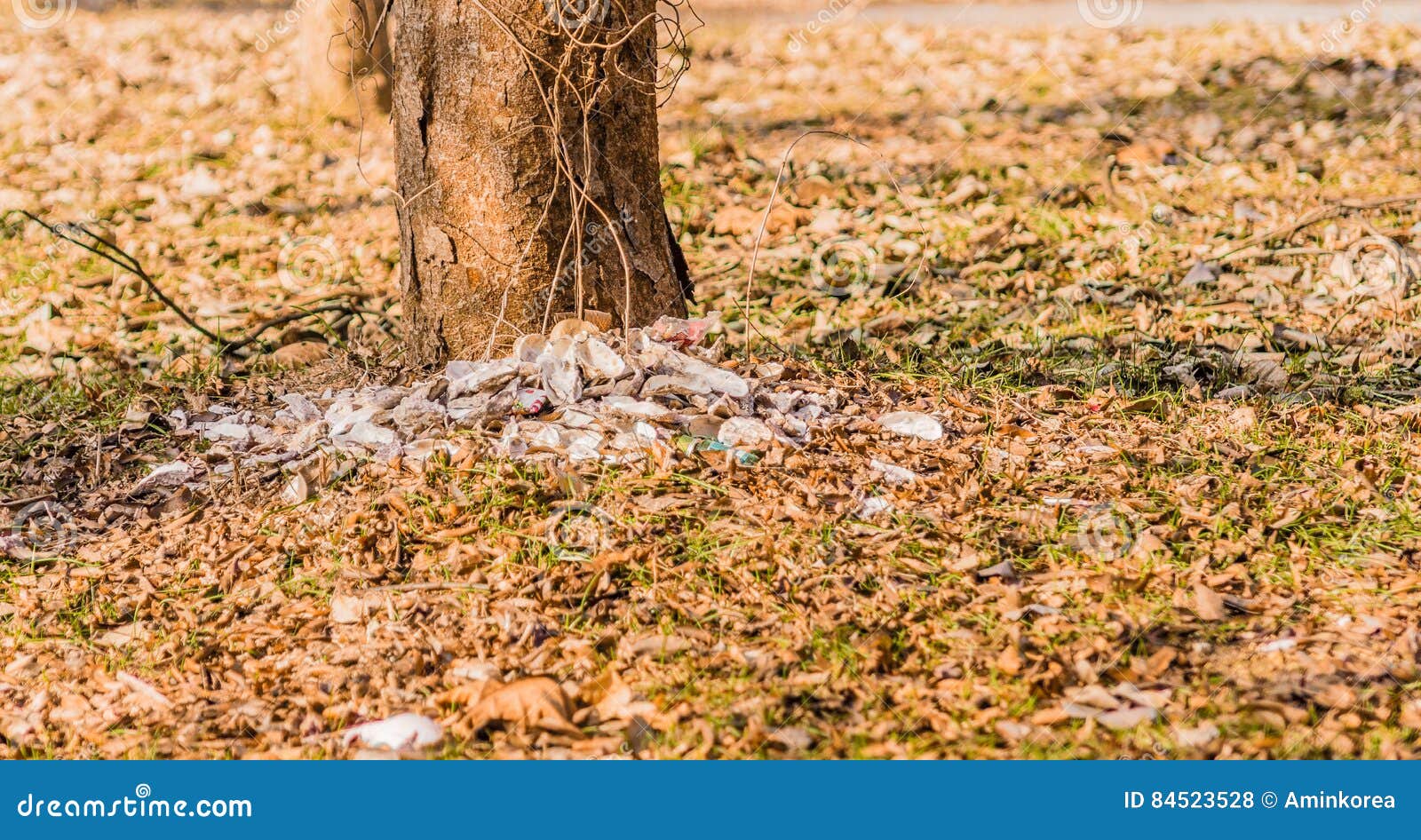 Trash on the Ground at the Base of a Tree Stock Photo - Image of ...
