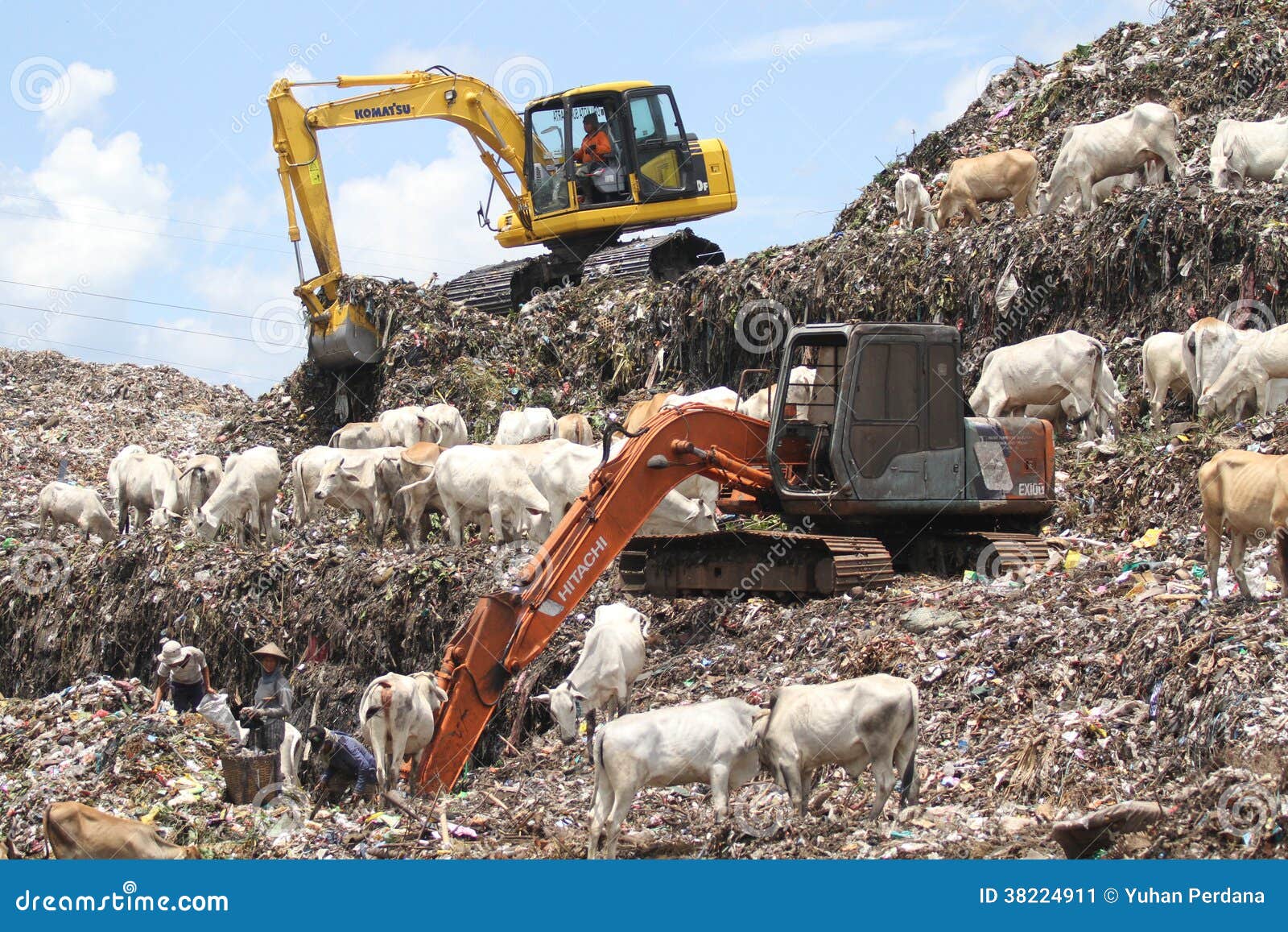 The trash hill editorial photo. Image of health, organic - 38224911