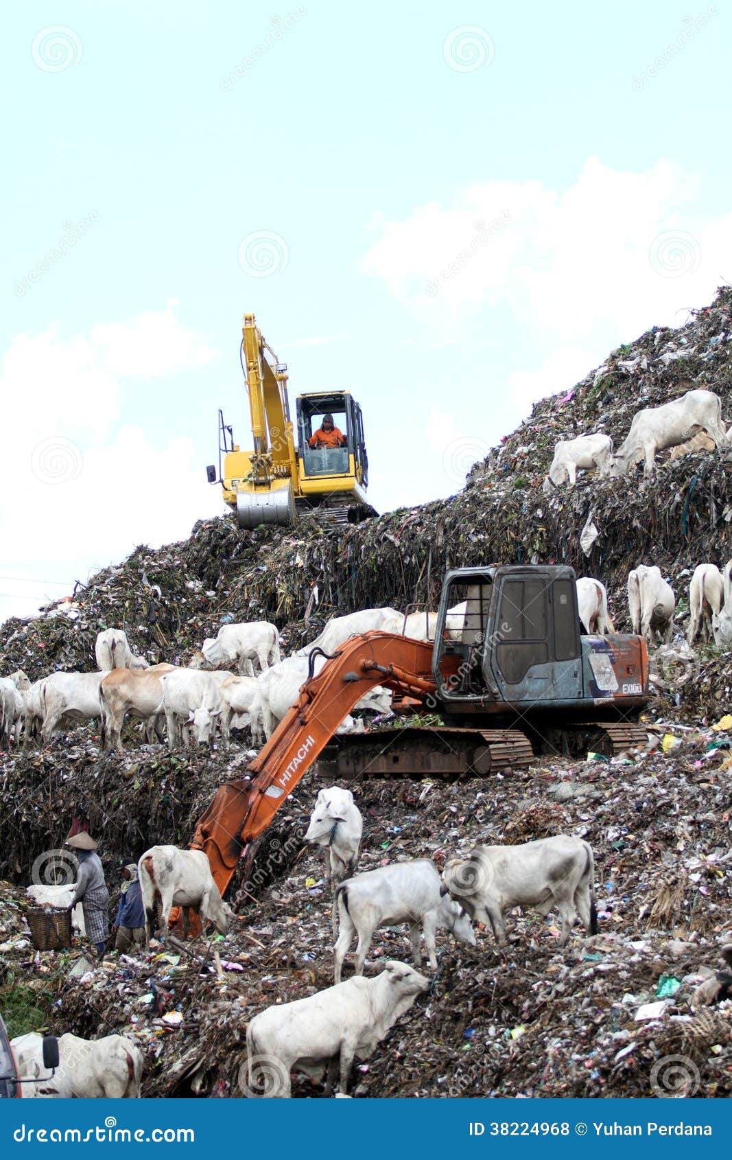 The trash hill editorial stock photo. Image of disease - 38224968