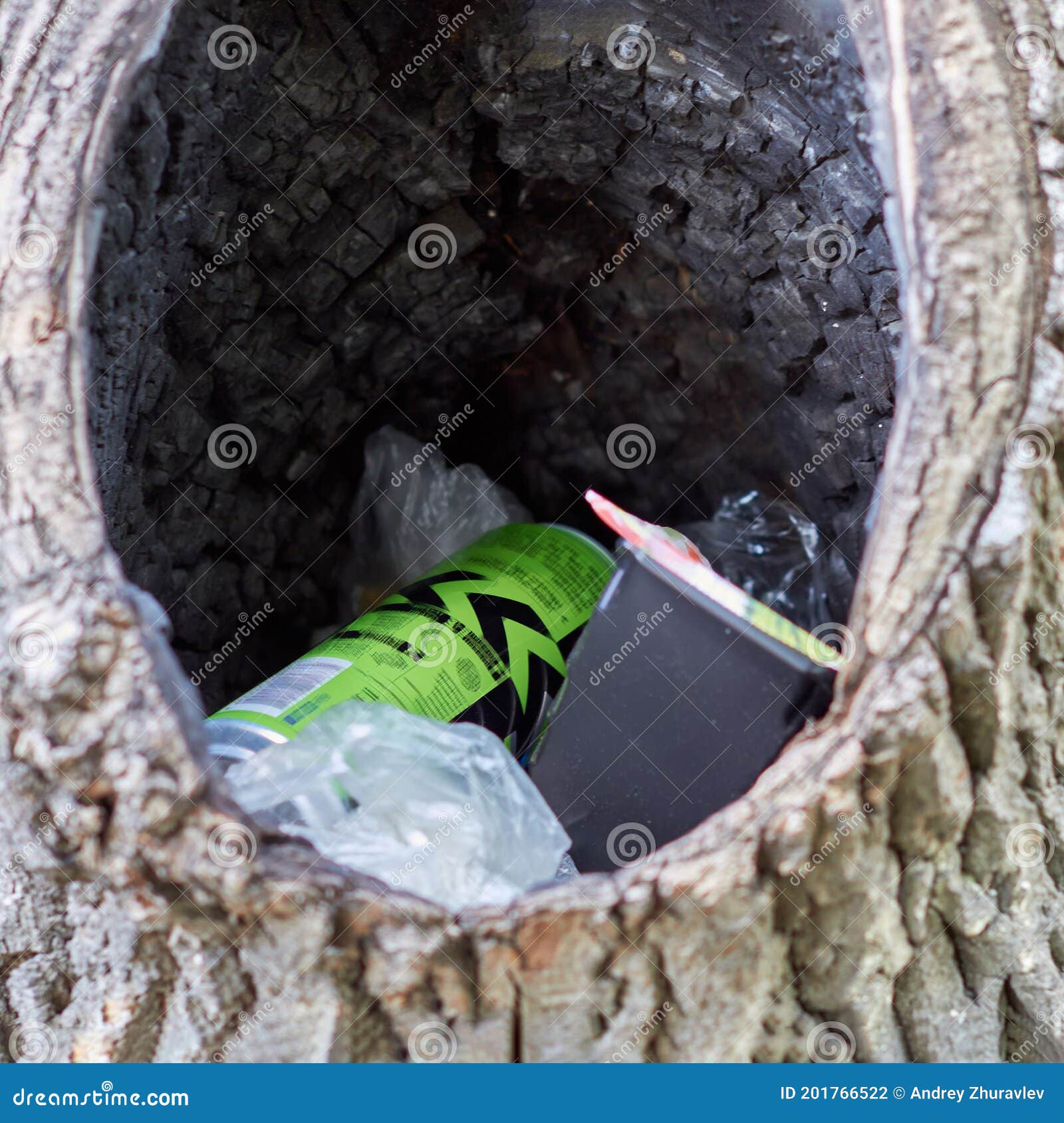 Trash in the Hollow Tree, Nature Protection Concept, Ecology. Plastic ...