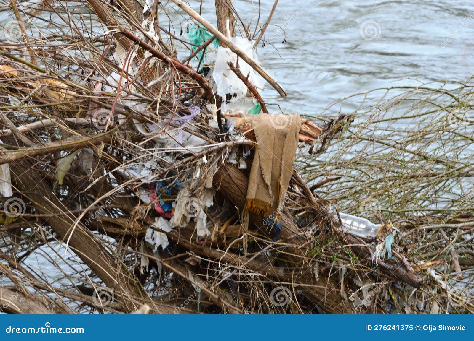 Trash Hung on Tree Branches by the River Stock Image - Image of nature ...