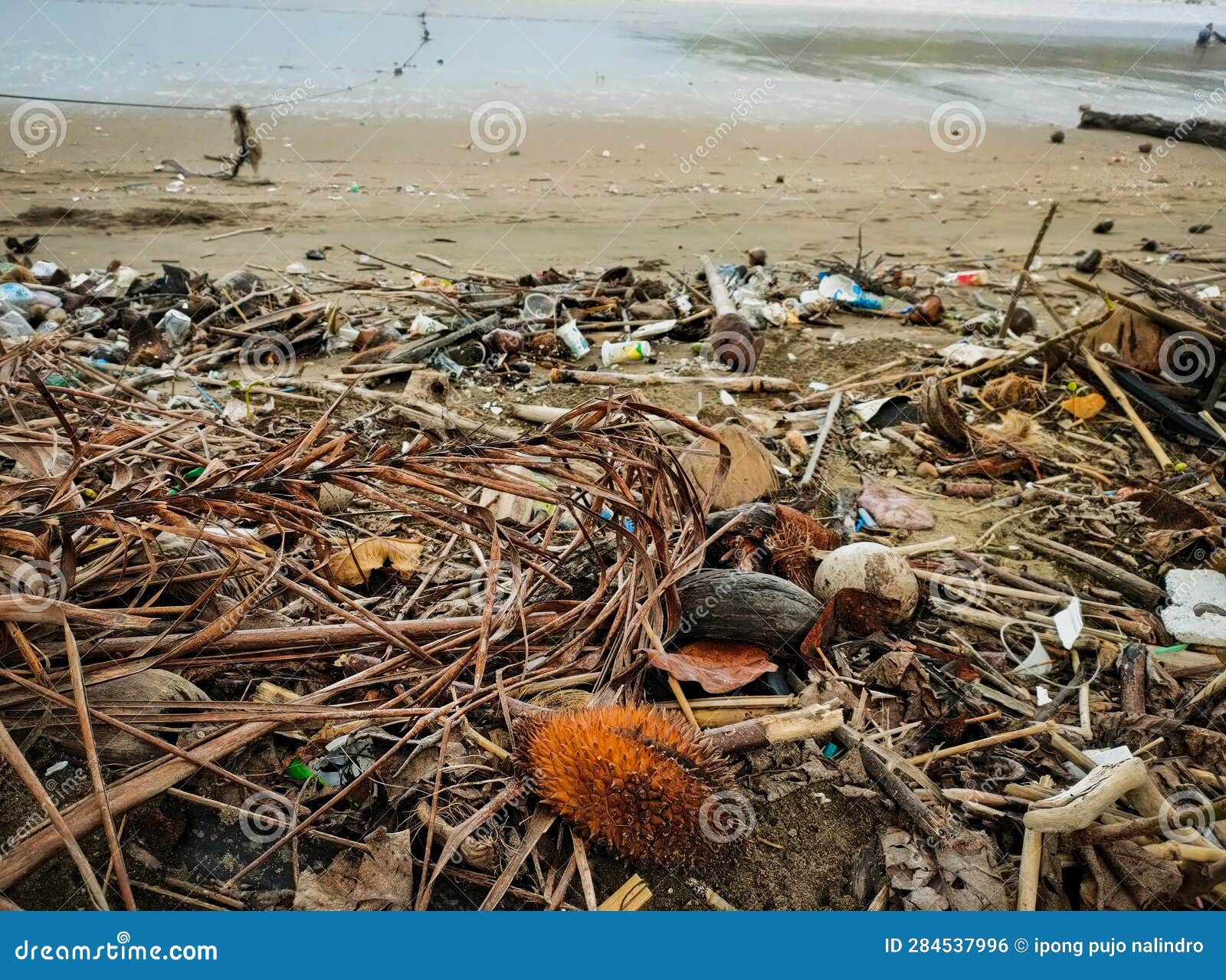 Trash-Infested Beaches: the Devastating Impact of Waste Accumulation on ...