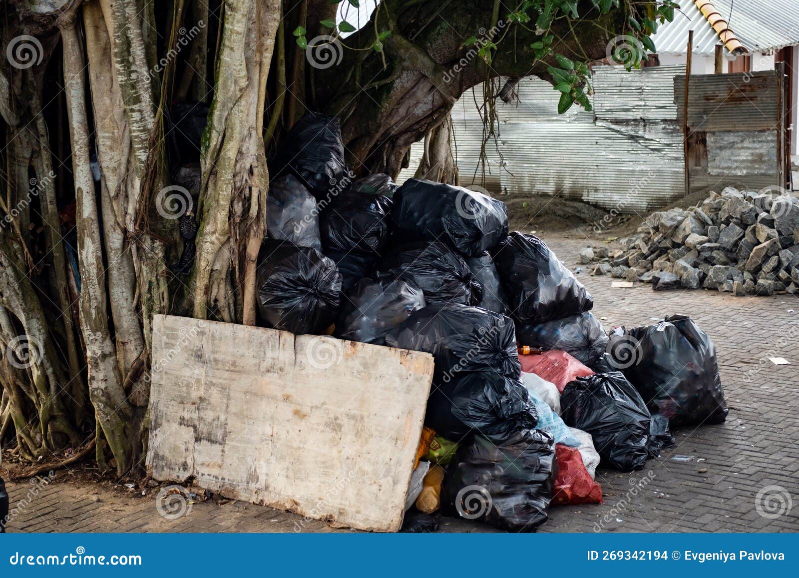Trash Inside Huge Tree. Garbage Pile. Environmental Pollution Concept ...