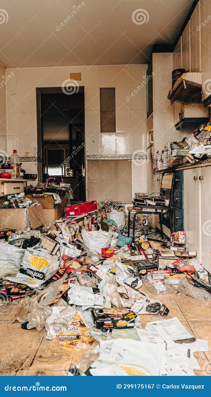 Trash in the kitchen editorial photography. Image of heap - 299175167