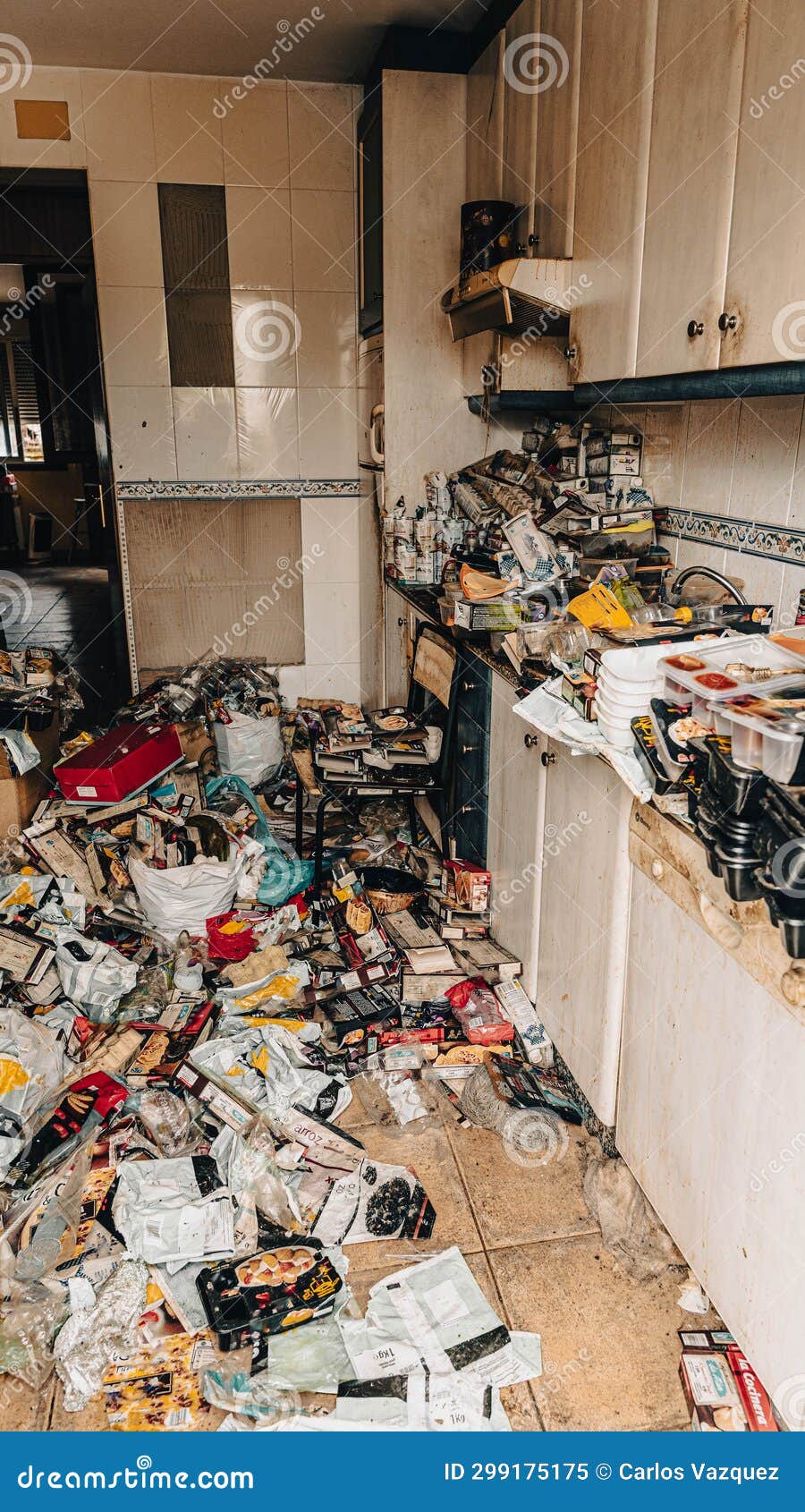 Trash in the kitchen stock image. Image of domestic - 299175175