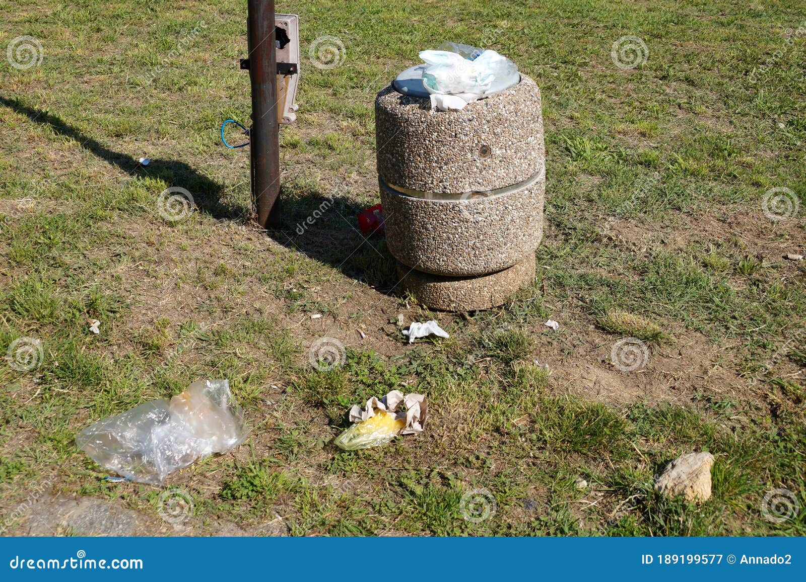 Trash Lying on the Grass Next To a Full Garbage Bin in a Park Stock ...