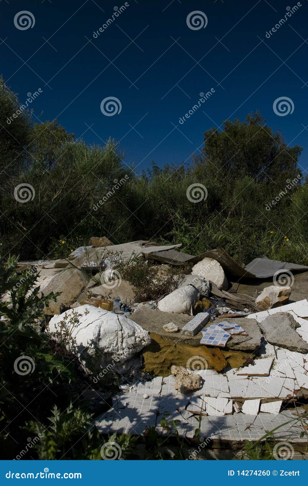 Trash and nature stock photo. Image of conceptual, flora - 14274260
