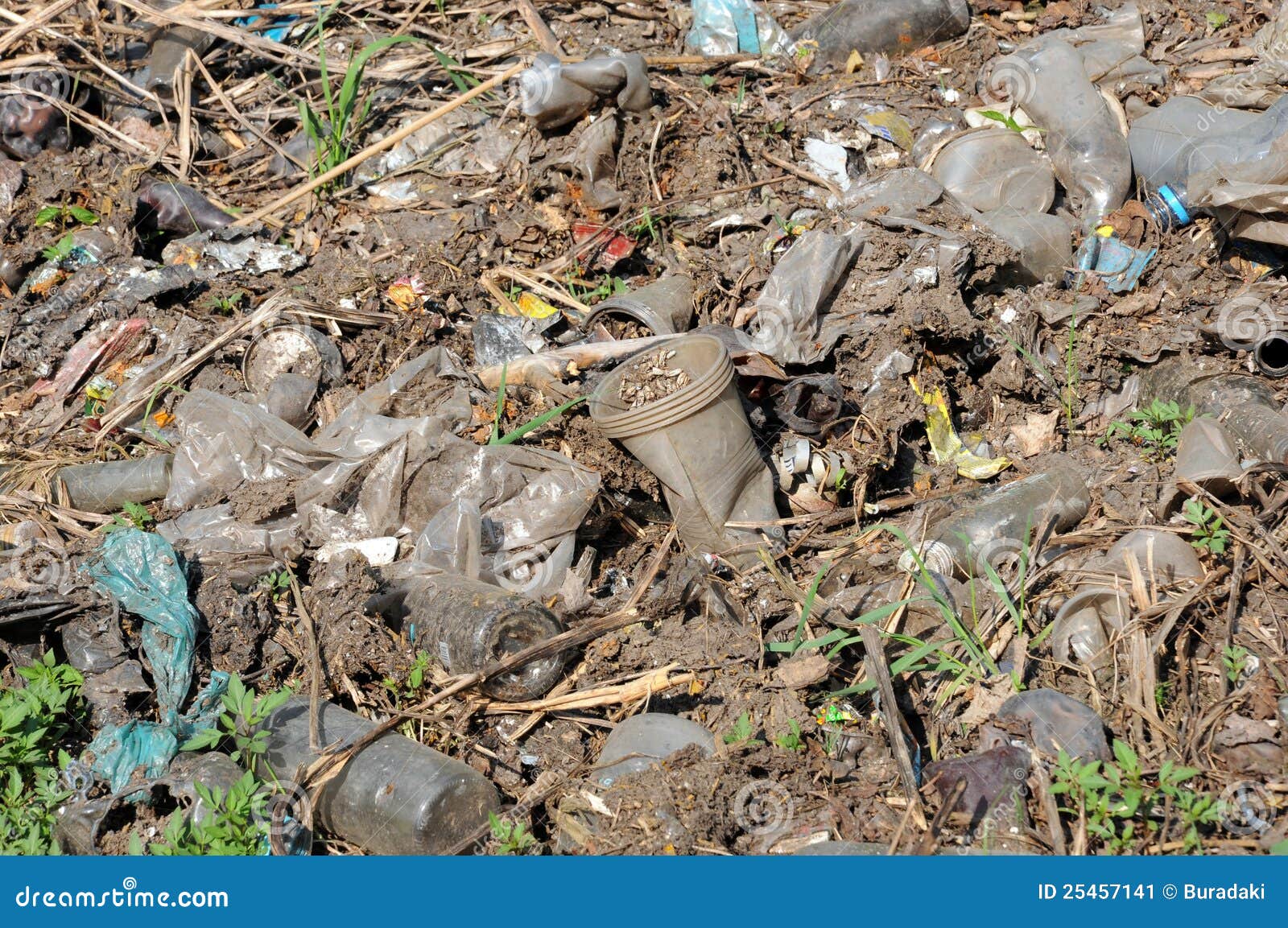 Trash on the nature stock image. Image of disaster, junk - 25457141