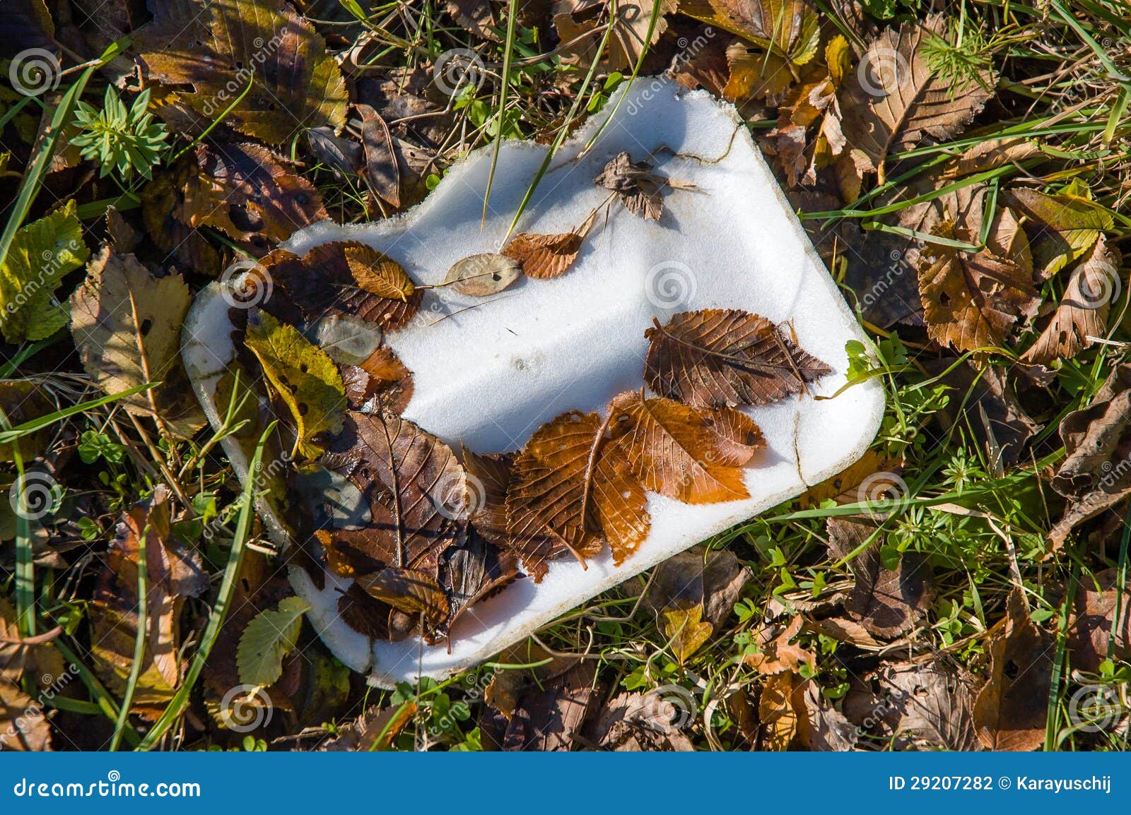 Trash in Nature stock photo. Image of ecology, bottle - 29207282