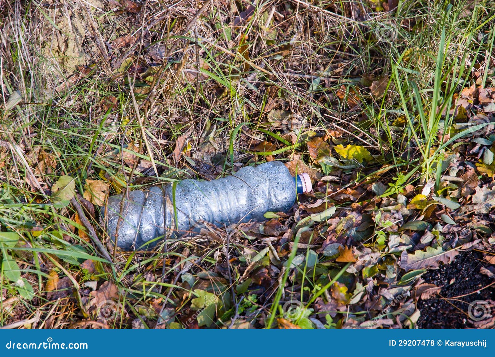 Trash in Nature stock photo. Image of green, offender - 29207478