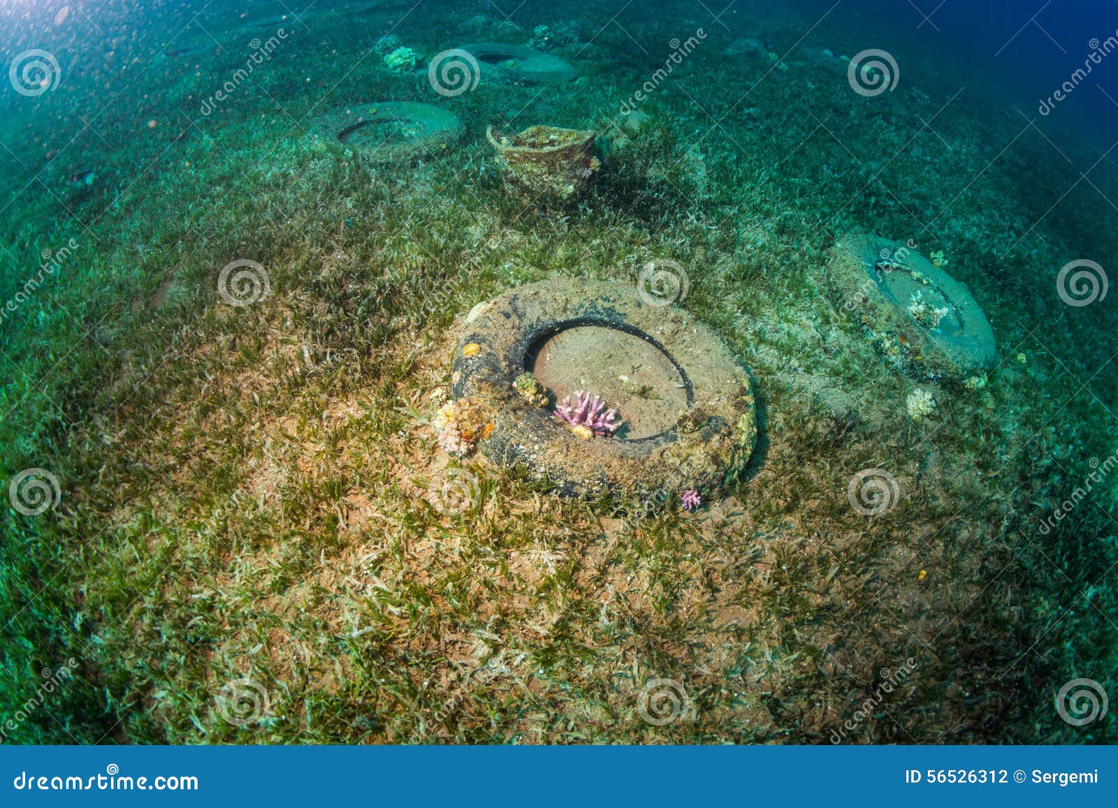 Trash in the ocean stock photo. Image of sand, egypt - 56526312