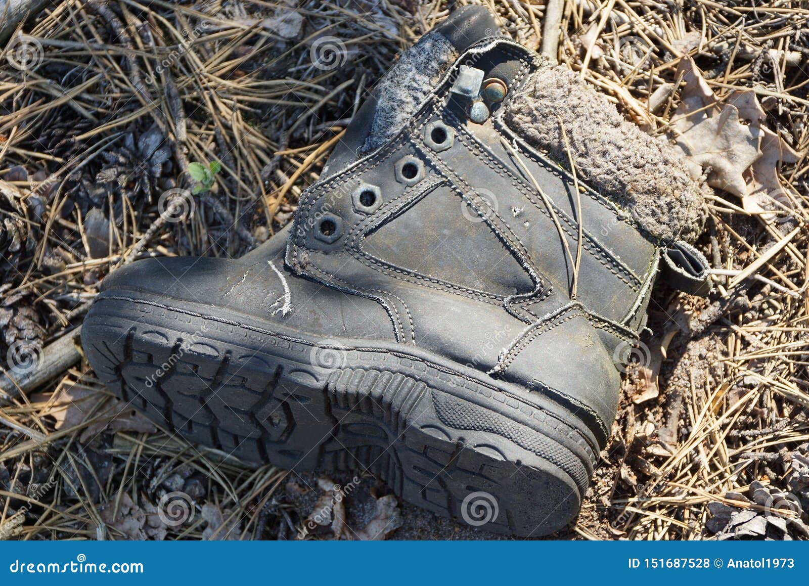 Trash from One Old Gray Boot Lying on Brown Grass Stock Photo - Image ...