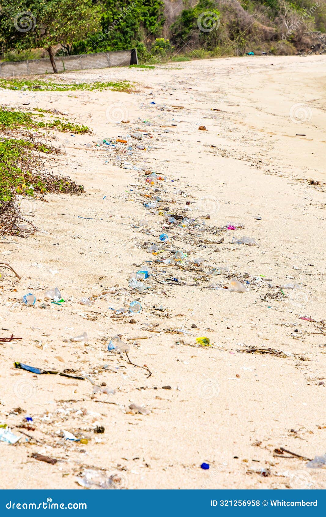 Trash and Plastic on the High Tide Line of a Tropical Beach in ...