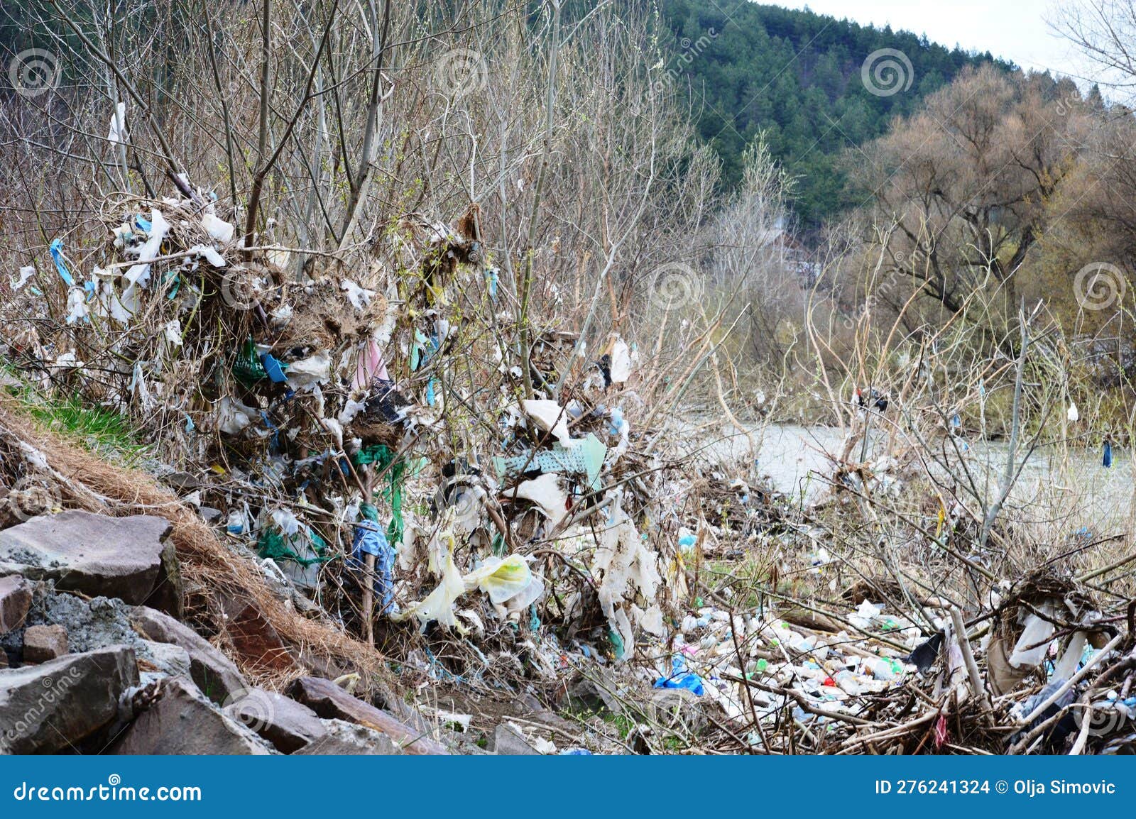 Trash and Plastic on the River Bank Stock Photo - Image of woodland ...
