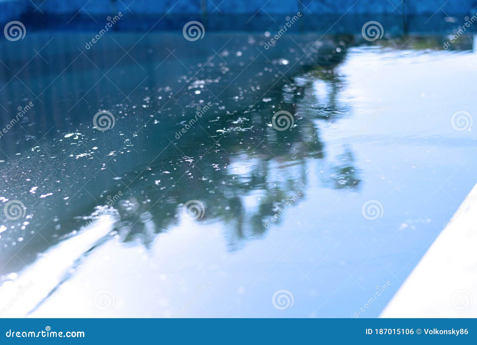 Trash on the Surface of the Water in the Pool. Stock Photo - Image of ...