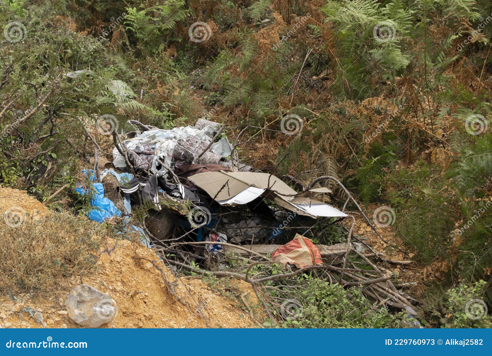 Trash Thrown Away in Nature, Environmental Problems Stock Image - Image ...