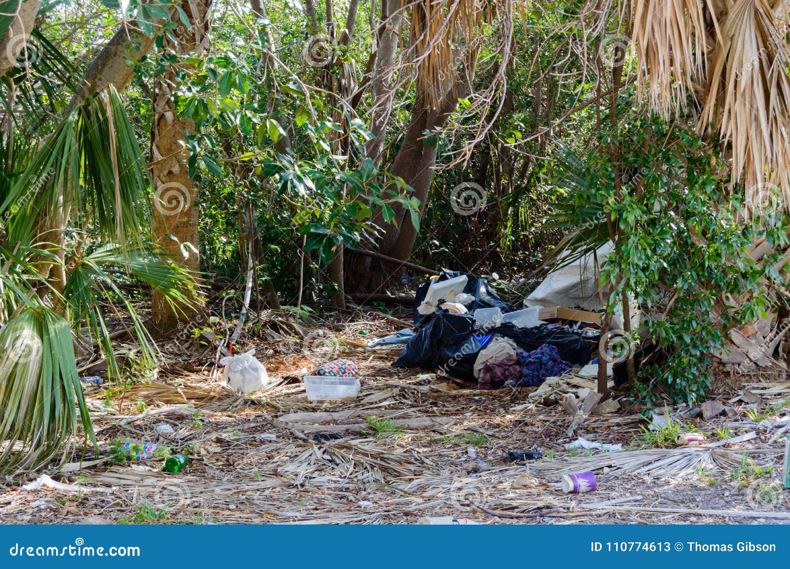 Trash in the trees stock image. Image of trashintrees - 110774613