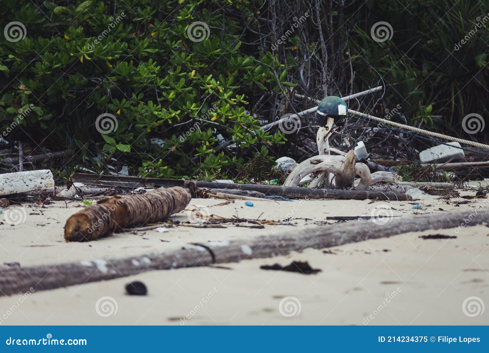A Trashed Helmet on a Tree Trunk Editorial Image - Image of ...