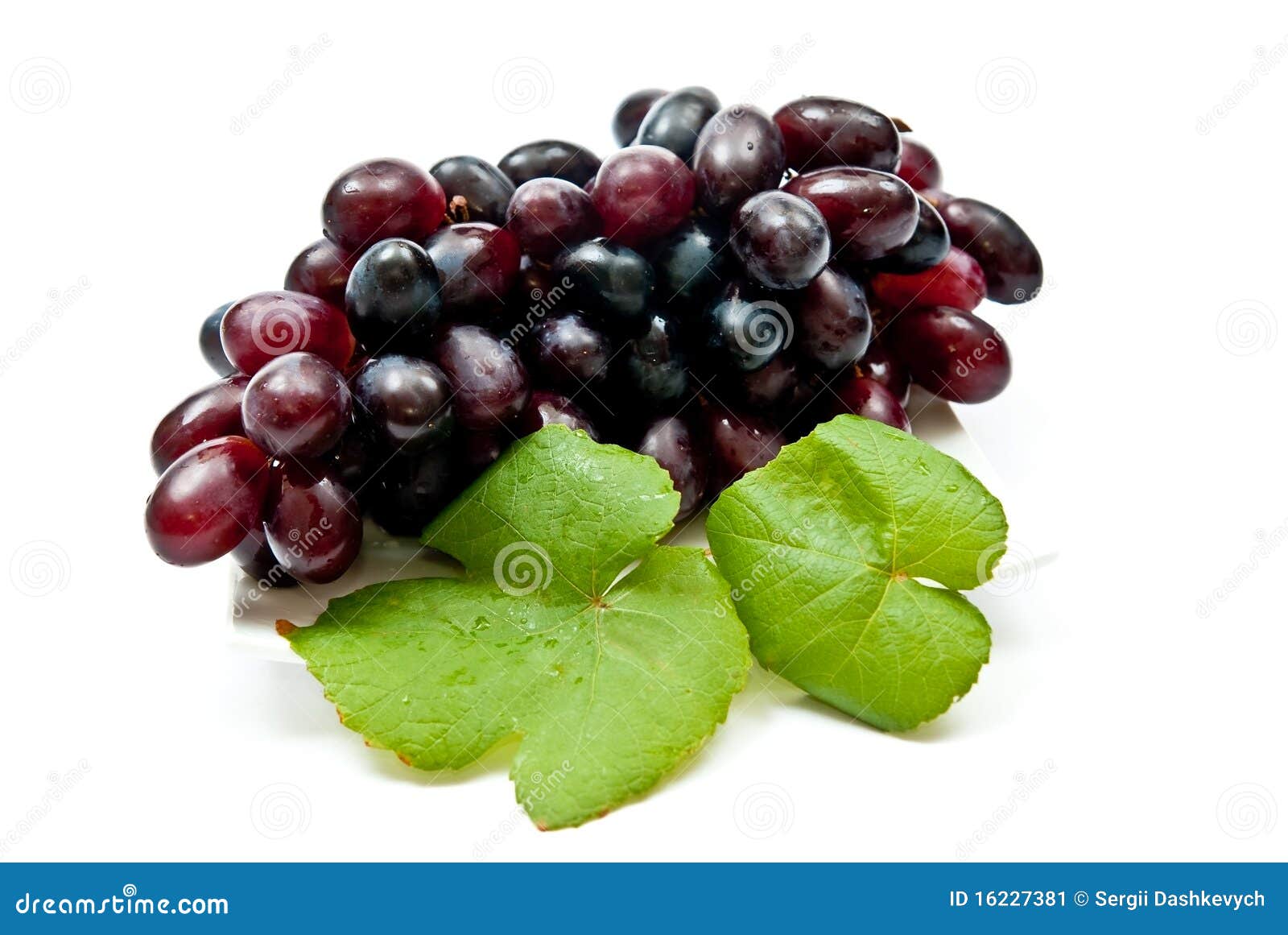 Traube stockbild. Bild von nahrung, nave, bild, traube - 16227381
