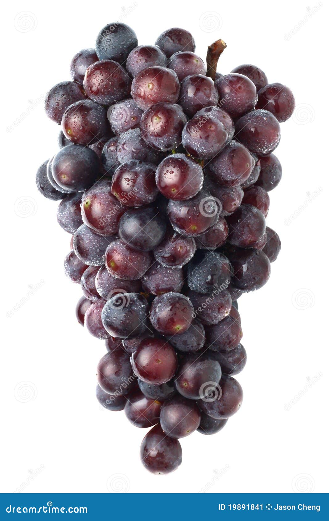 Traube stockbild. Bild von wein, frucht, sauer, traube - 19891841