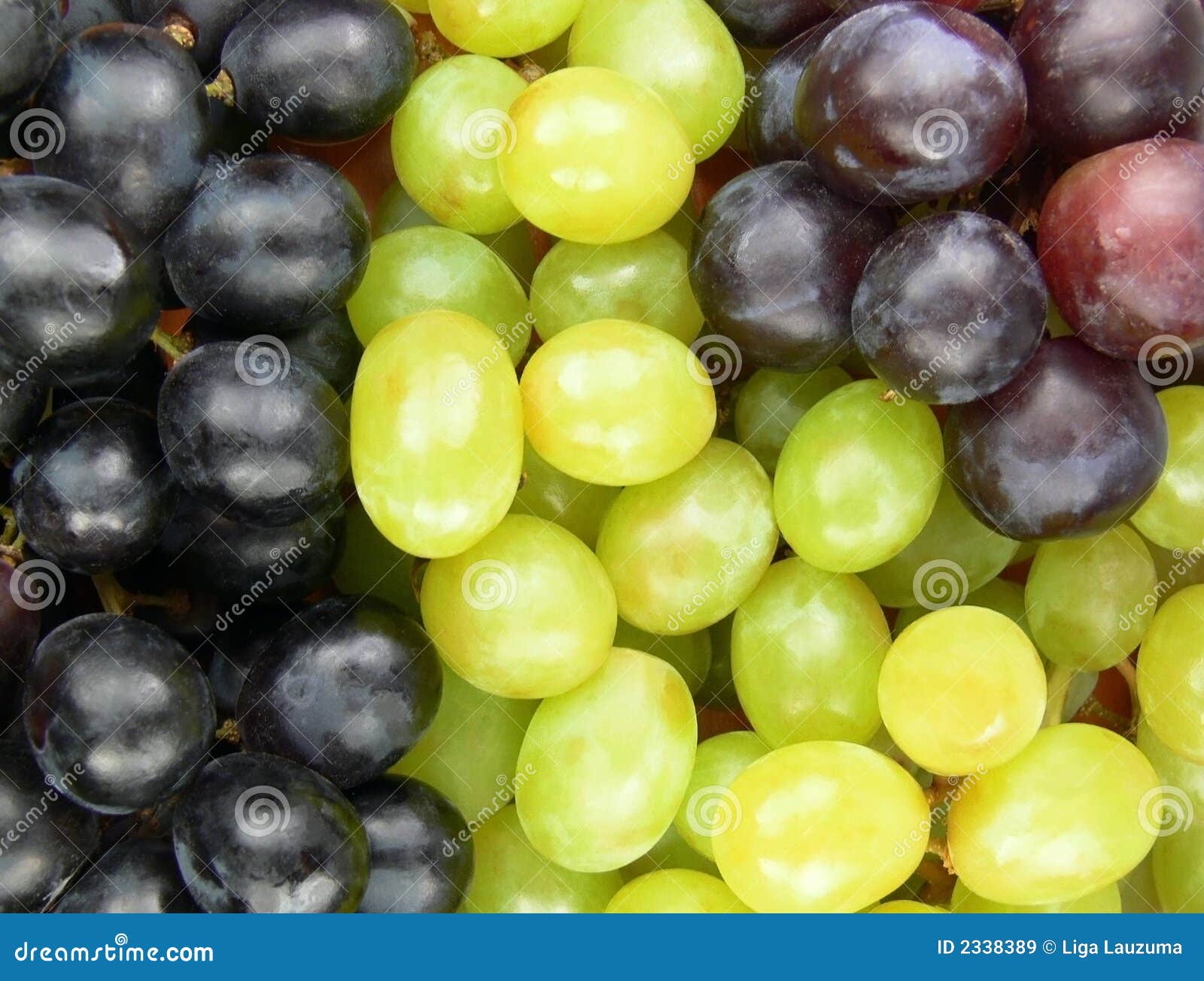 Trauben Bild. Bild: 2338389