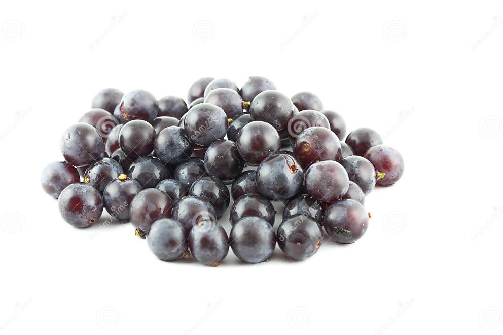 Trauben in Japan stockbild. Bild von farbe, schön, ernte - 63680203