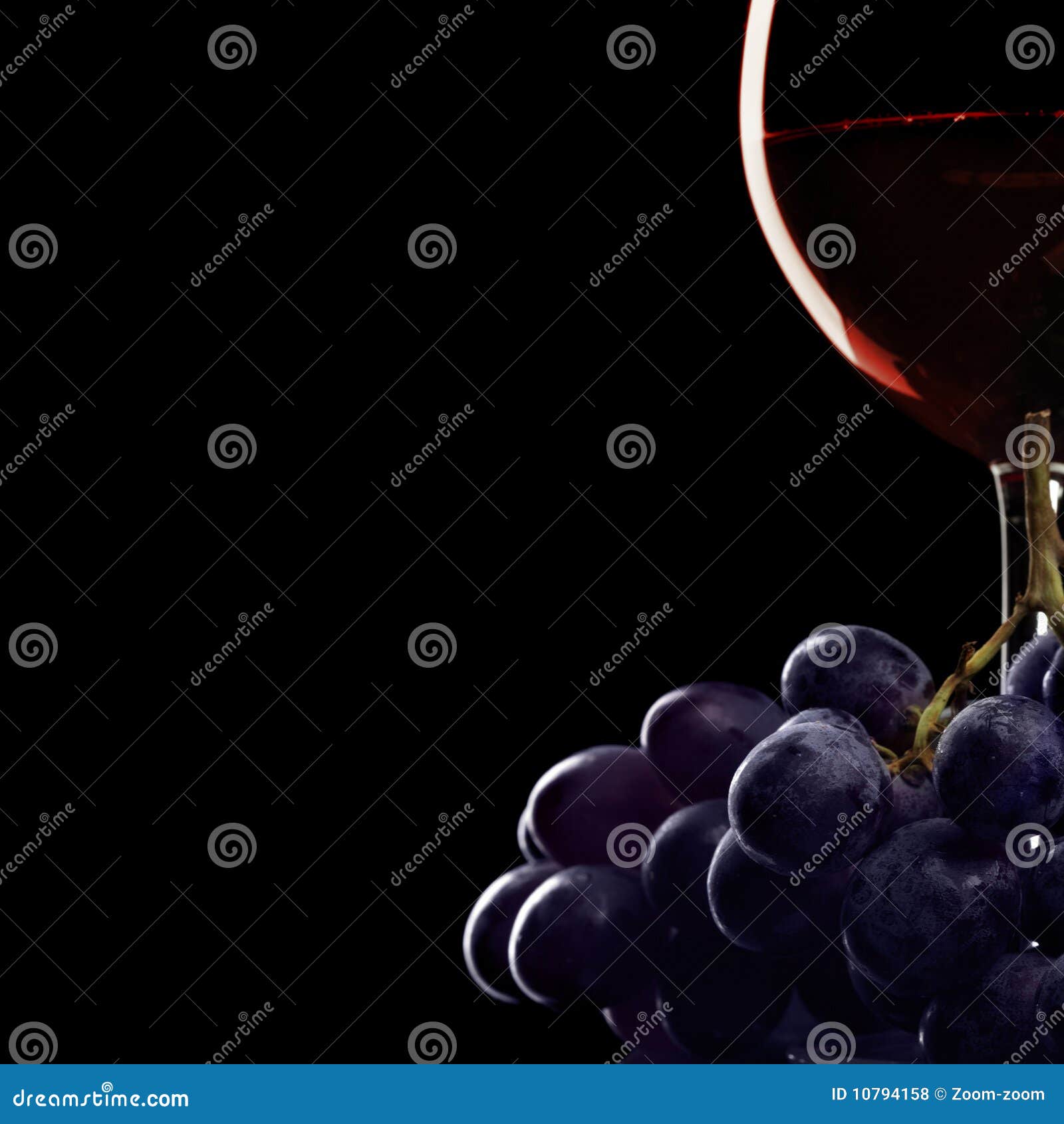 Trauben und Wein stockfoto. Bild von wachsen, behälter - 10794158