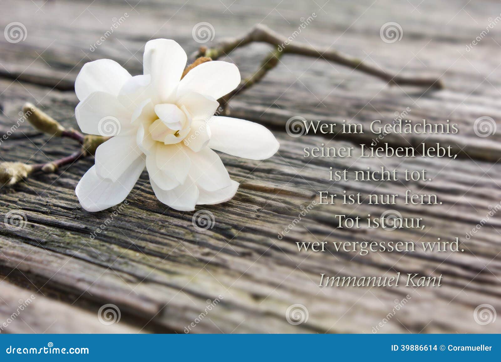 Trauerkarte stockfoto. Bild von kant, blume, traurigkeit - 39886614