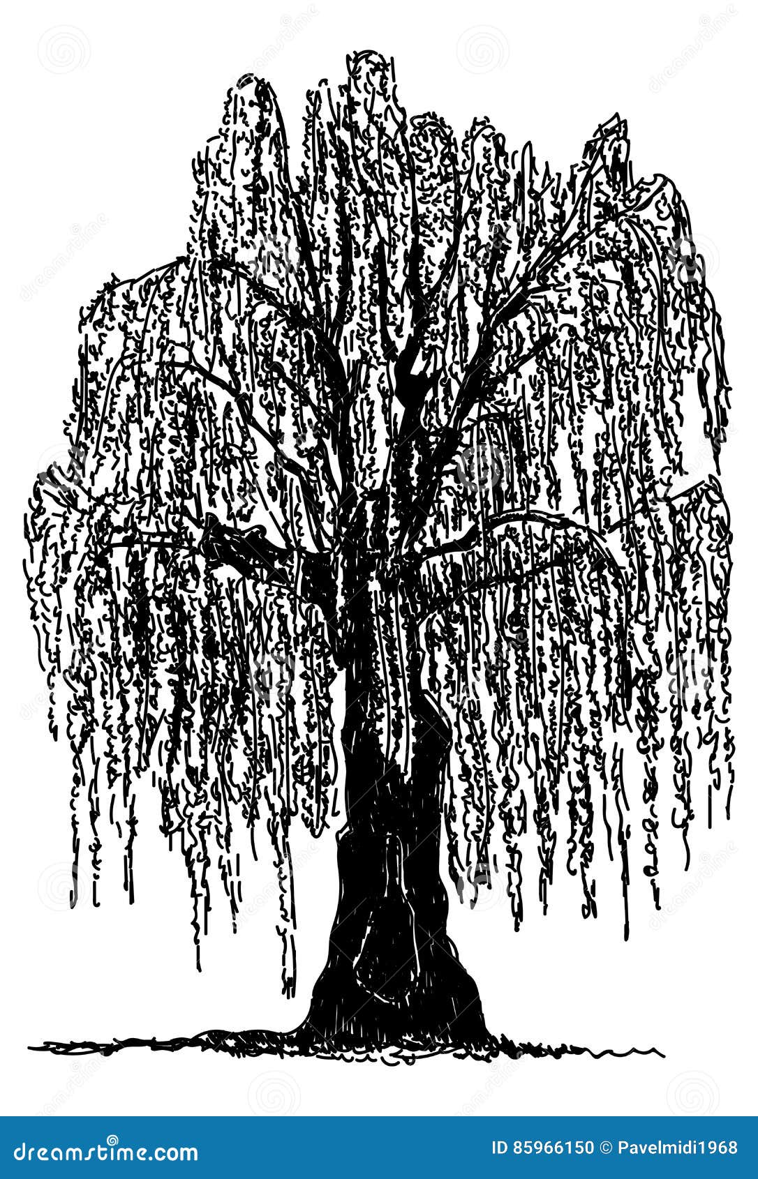 Trauerweide vektor abbildung. Illustration von betrieb - 85966150