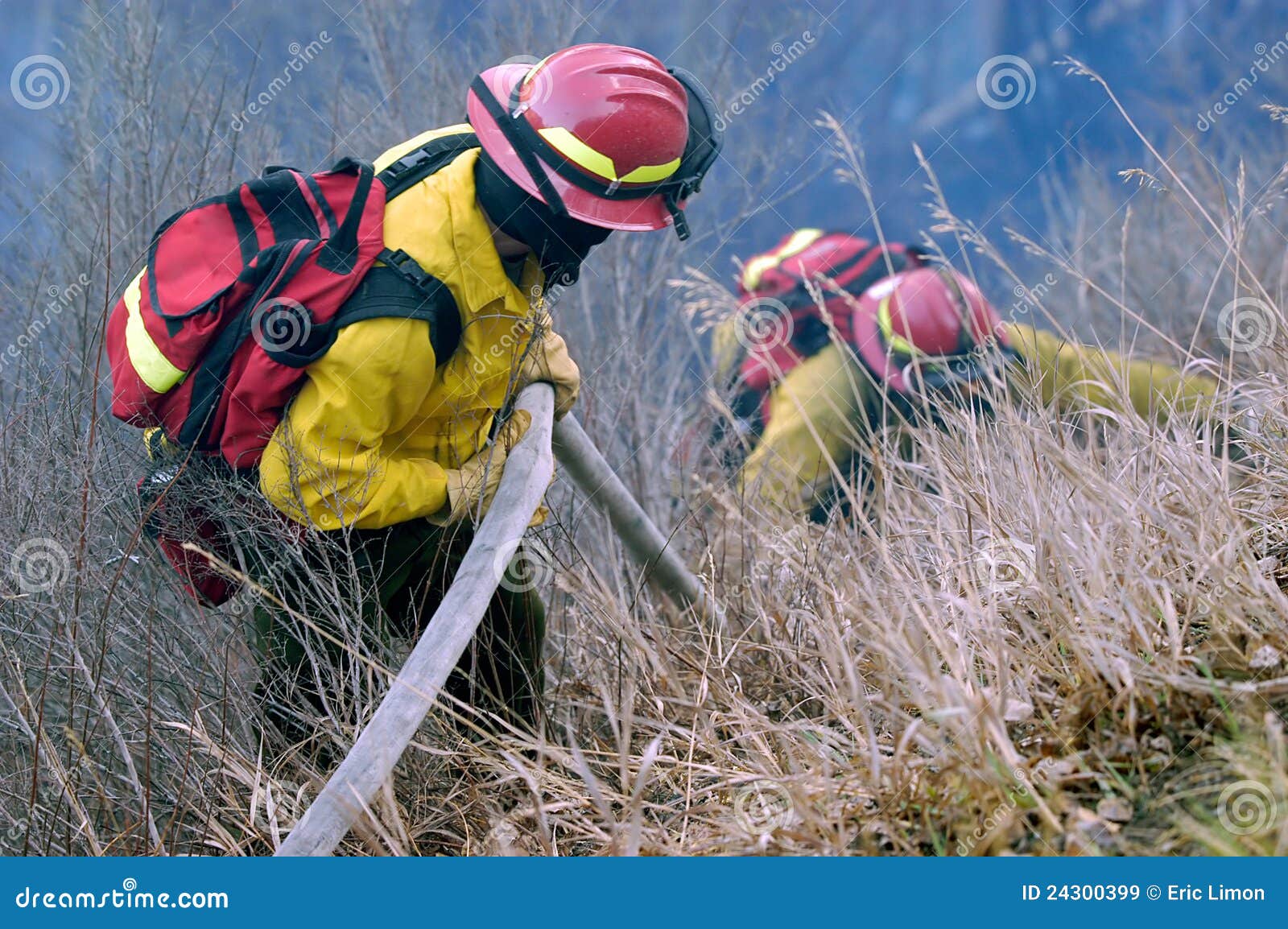 Travail D'équipe De Sapeur-pompier Image stock - Image du herbe, fumée ...