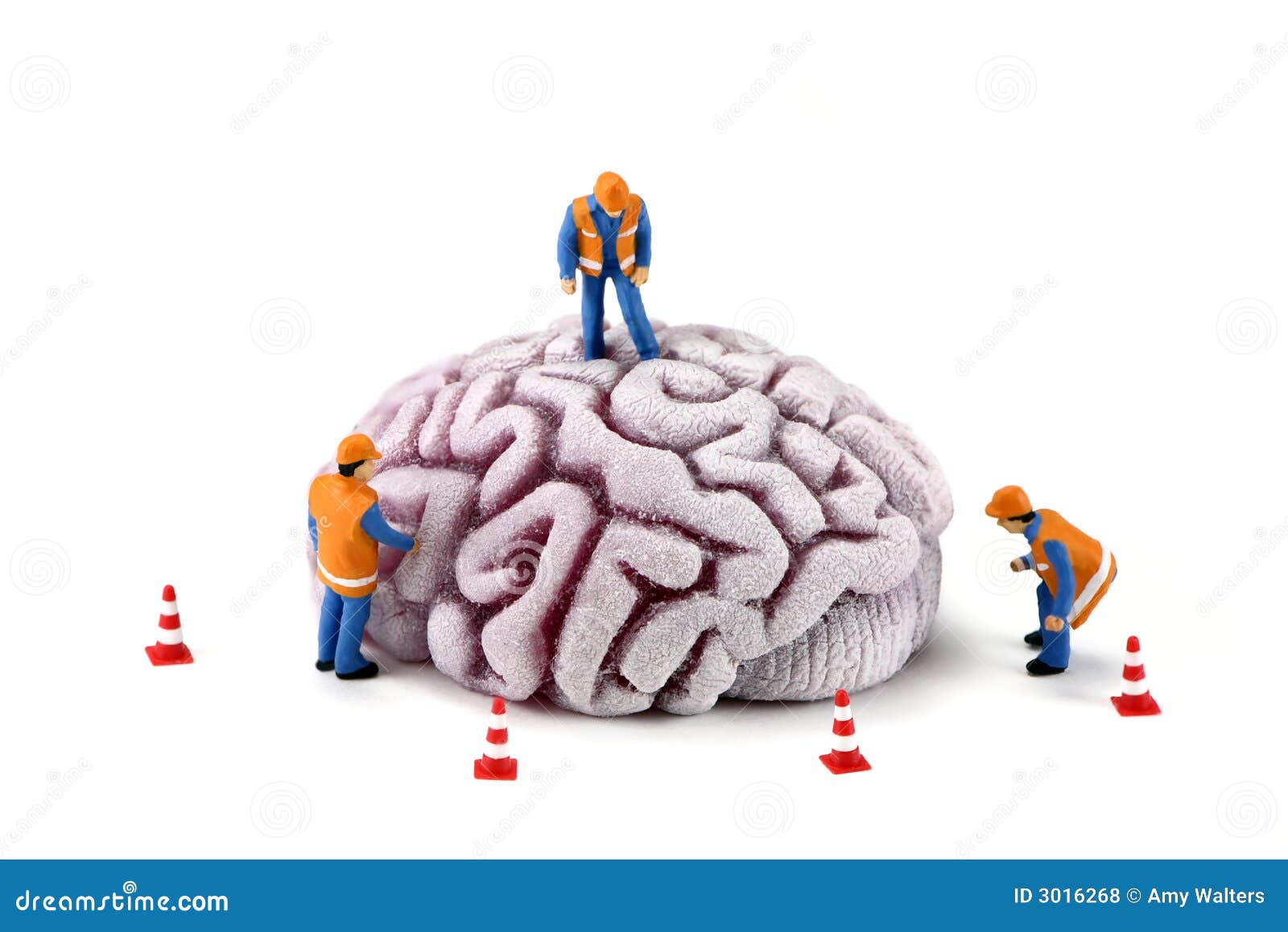 Travailleurs De La Construction Sur Le Cerveau Photo stock - Image du ...