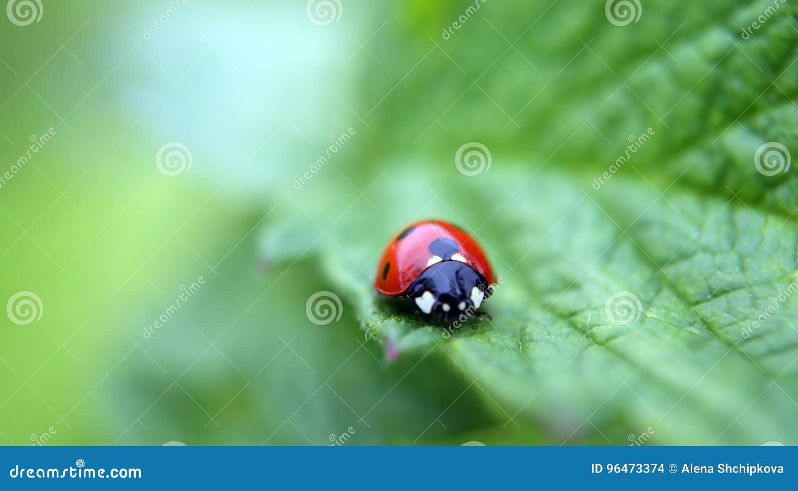 Travel through the Beautiful Corners of Nature Stock Photo - Image of ...