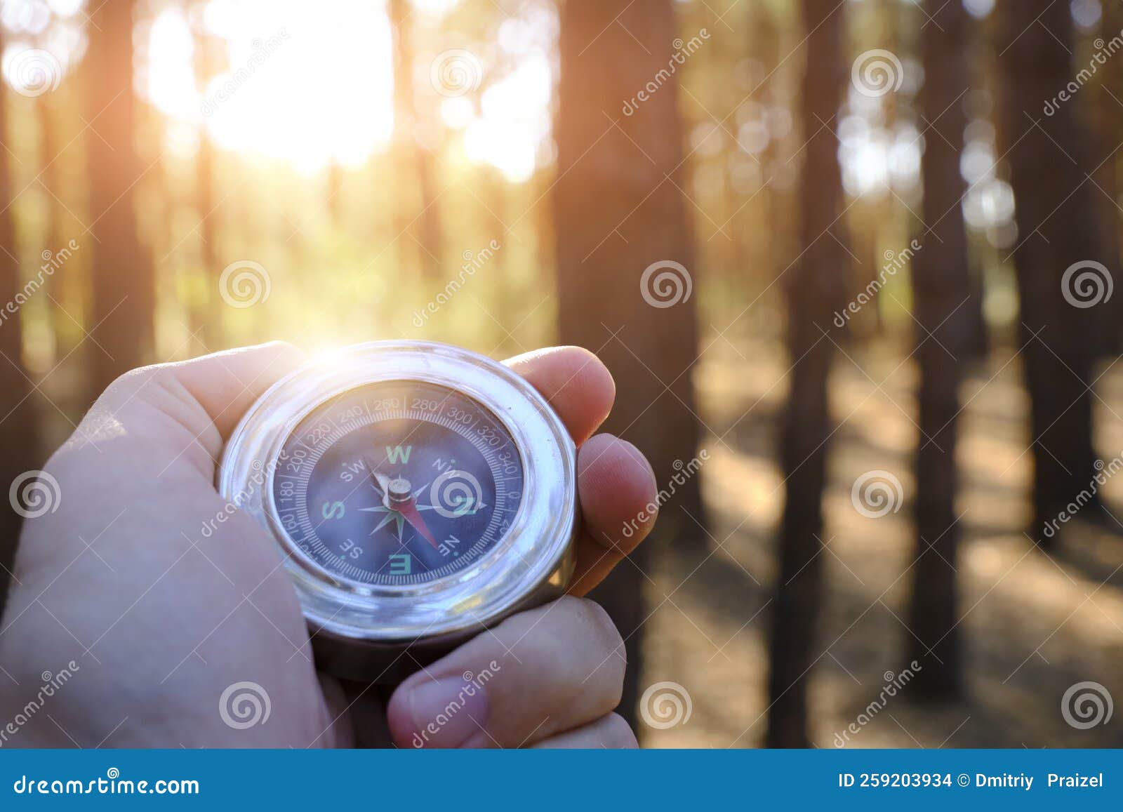 Travel with Compass in Hand in Pine Sunny Forest. Stock Photo - Image ...