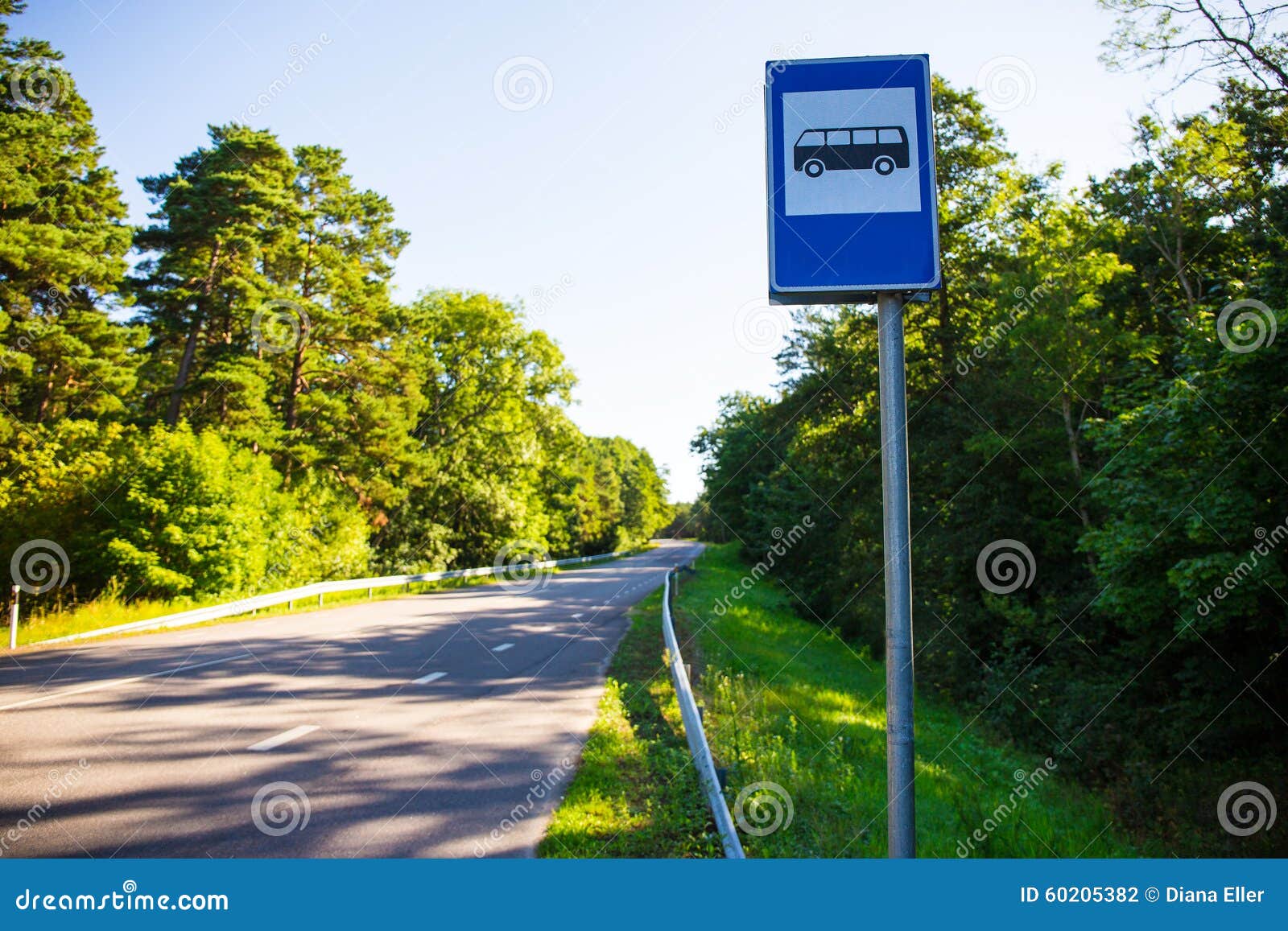 Travel Concept - Bus Stop on Forest Road Stock Photo - Image of post ...