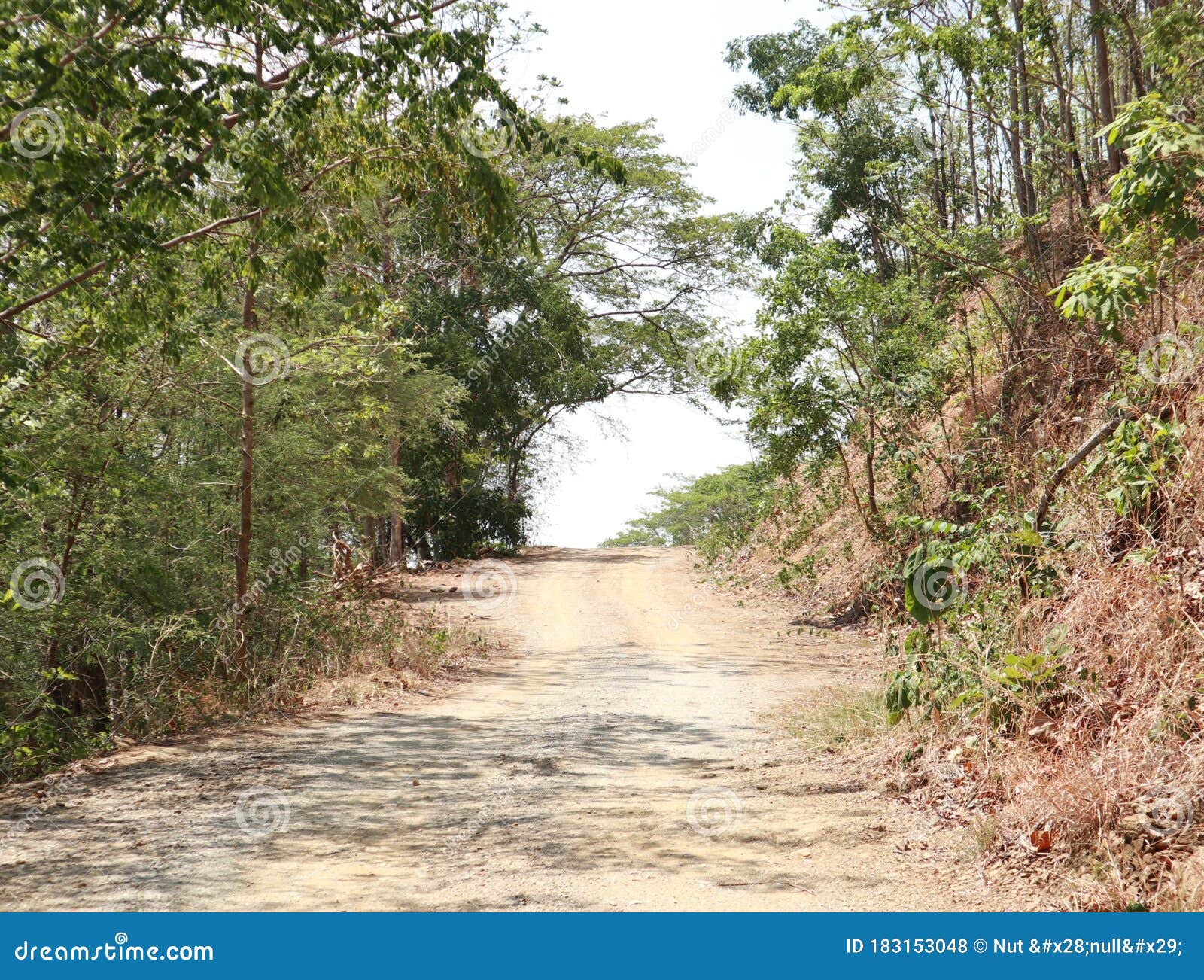 Natural road stock photo. Image of road, natural, travel - 183153048
