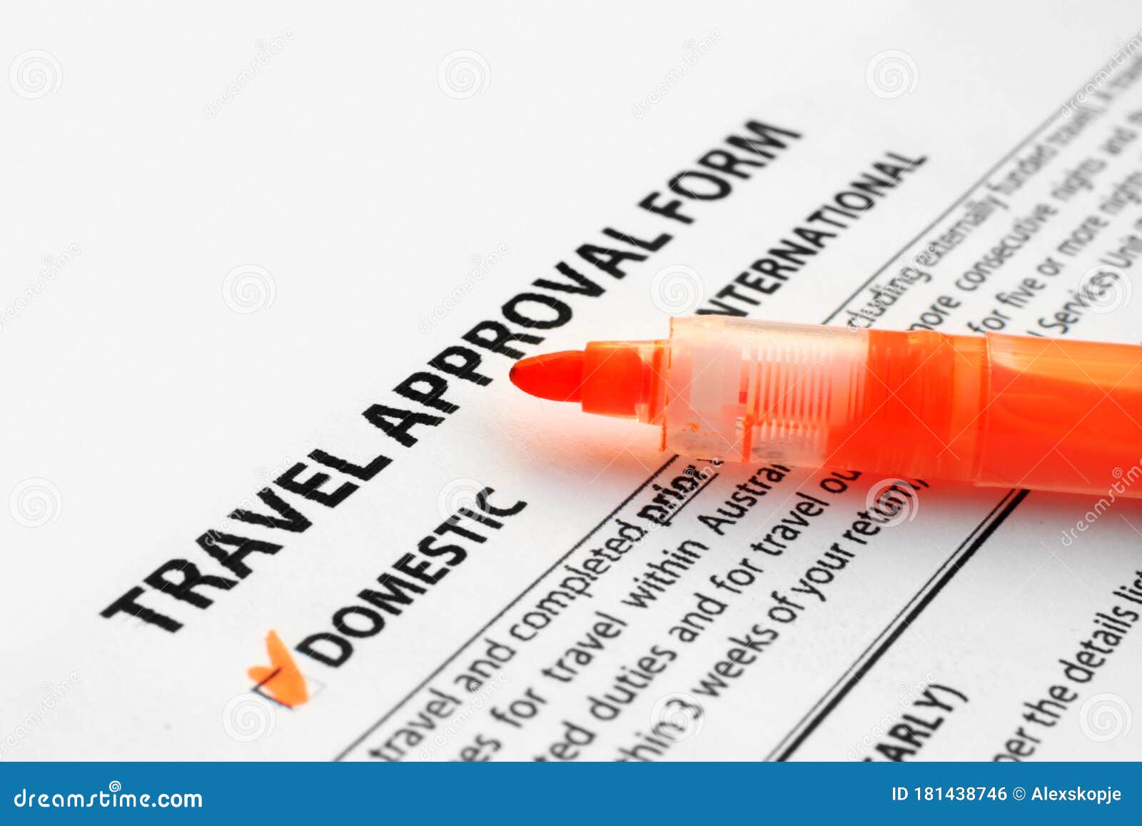 Travel form stock photo. Image of blank, form, information - 181438746