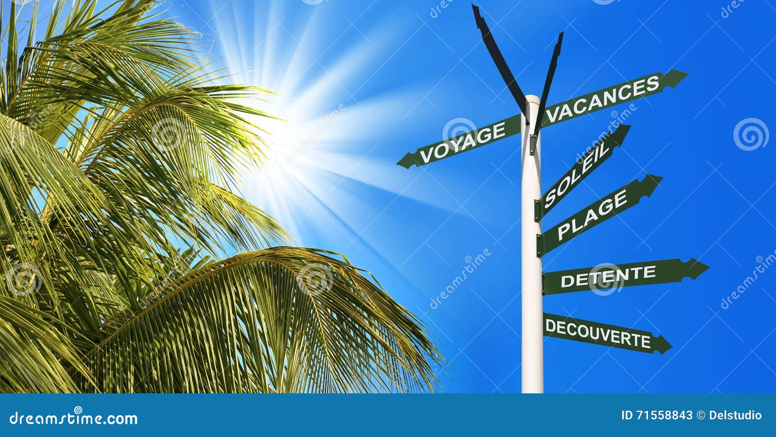 Travel Header with Palm Tree and Postsign Stock Image - Image of panel ...